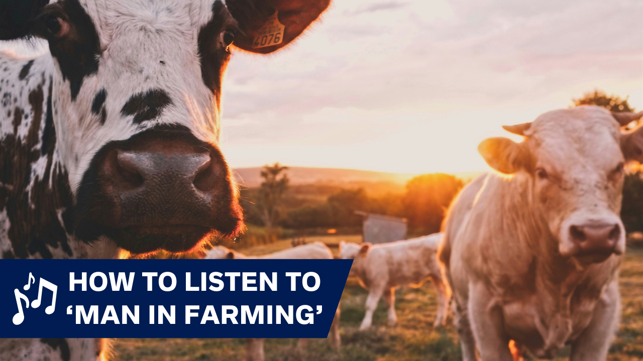 How to listen to Cool FM's viral 'Man in Farming' song 🐮