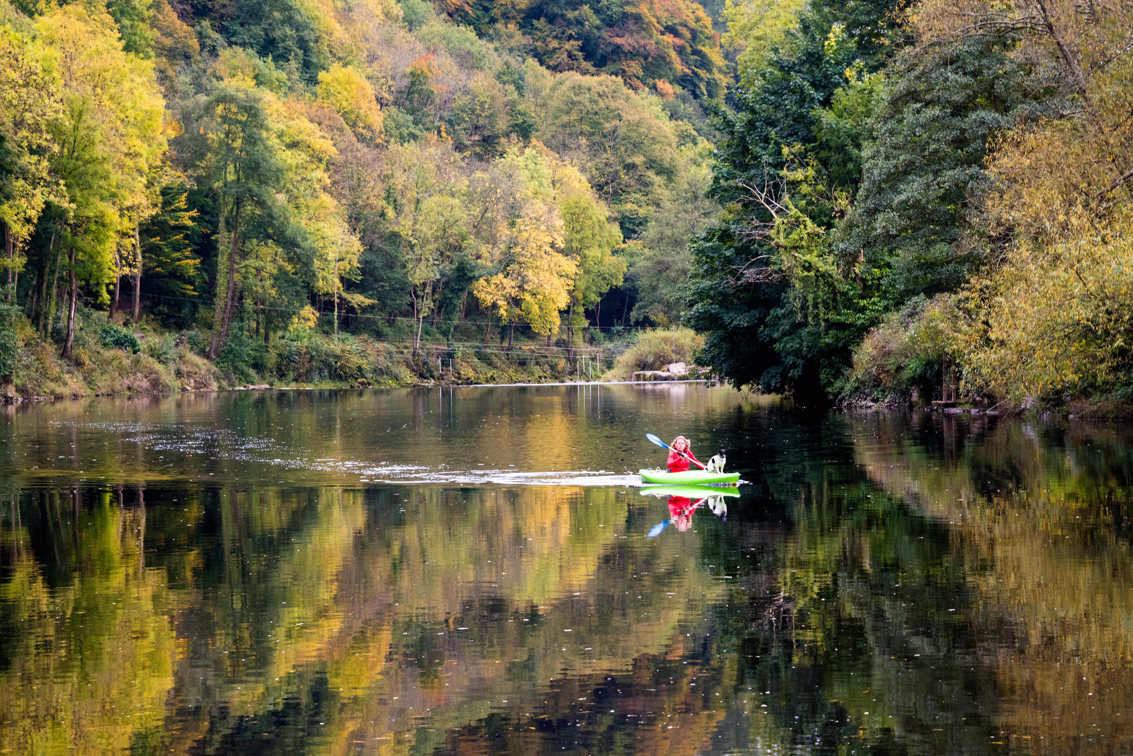 Welsh Water fined £90,000 for polluting River Wye near Hereford | News ...