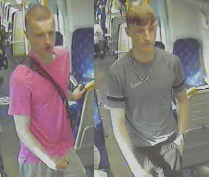 Police searching for two men following serious assault on train