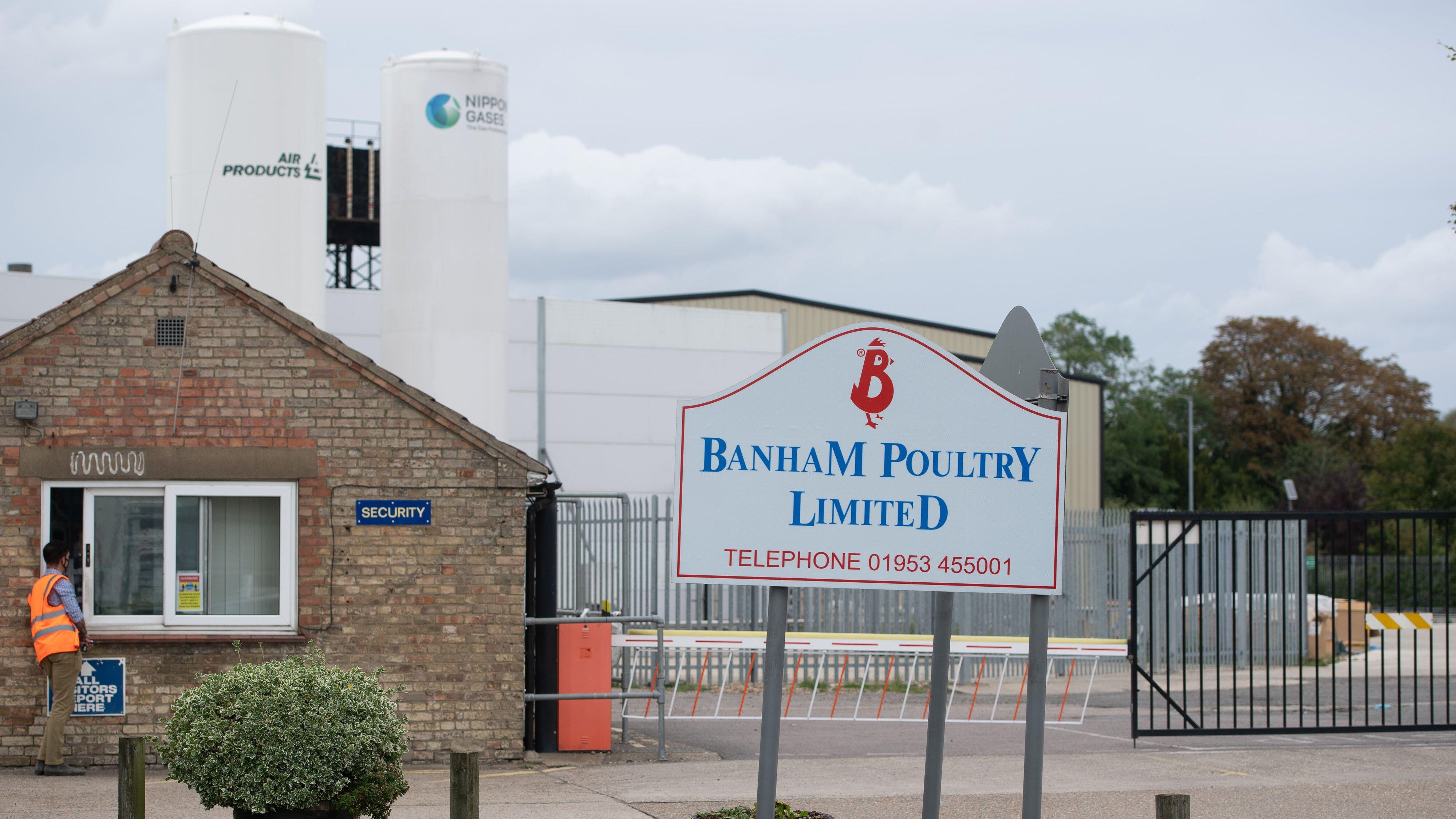 Firms in court accused of corporate manslaughter of pest controllers in ...