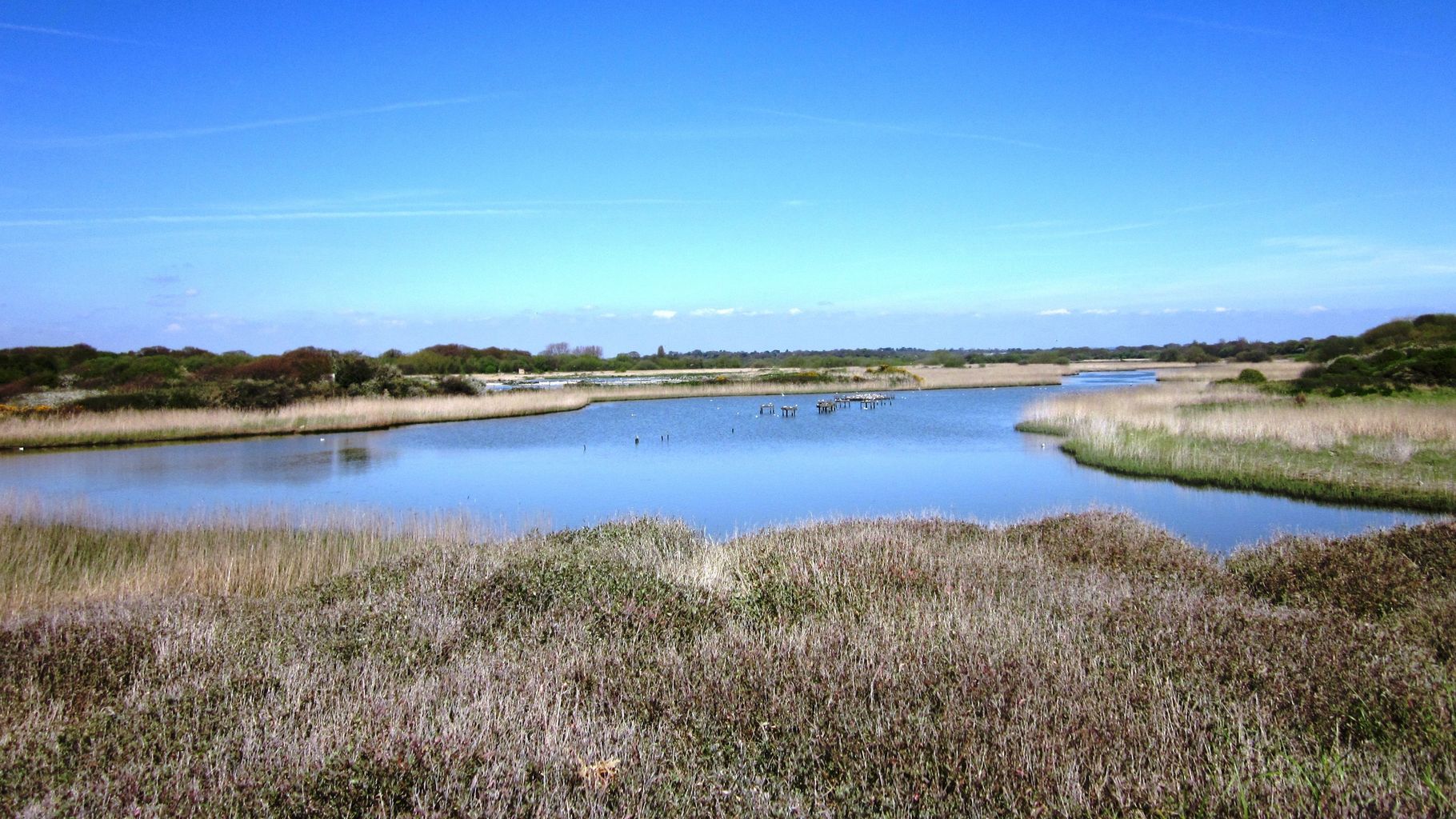 Hampshire nature reserve visitor centre set to become nursery | News ...