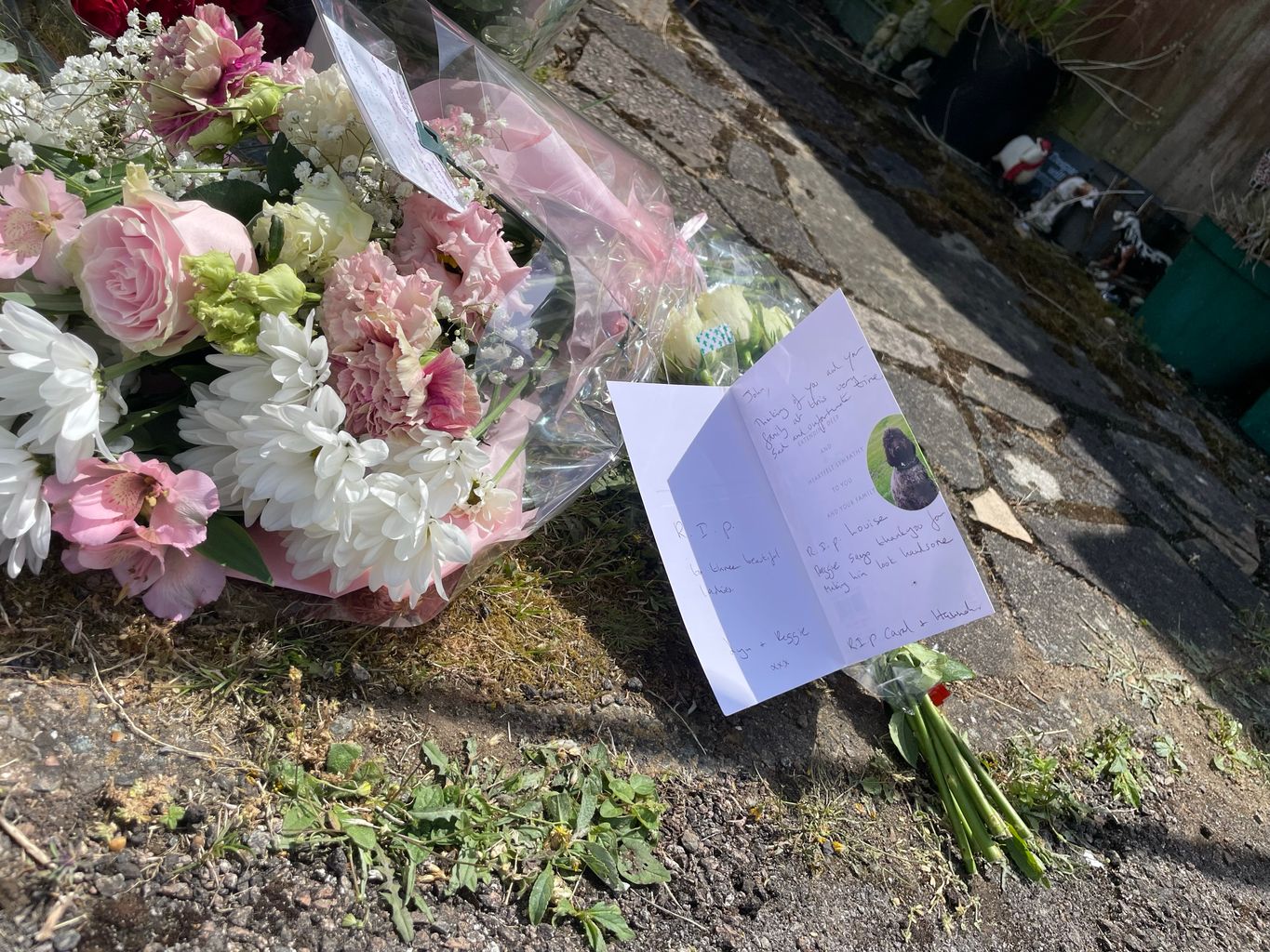 Tributes paid to 'lovely family' killed in apparent crossbow attack ...