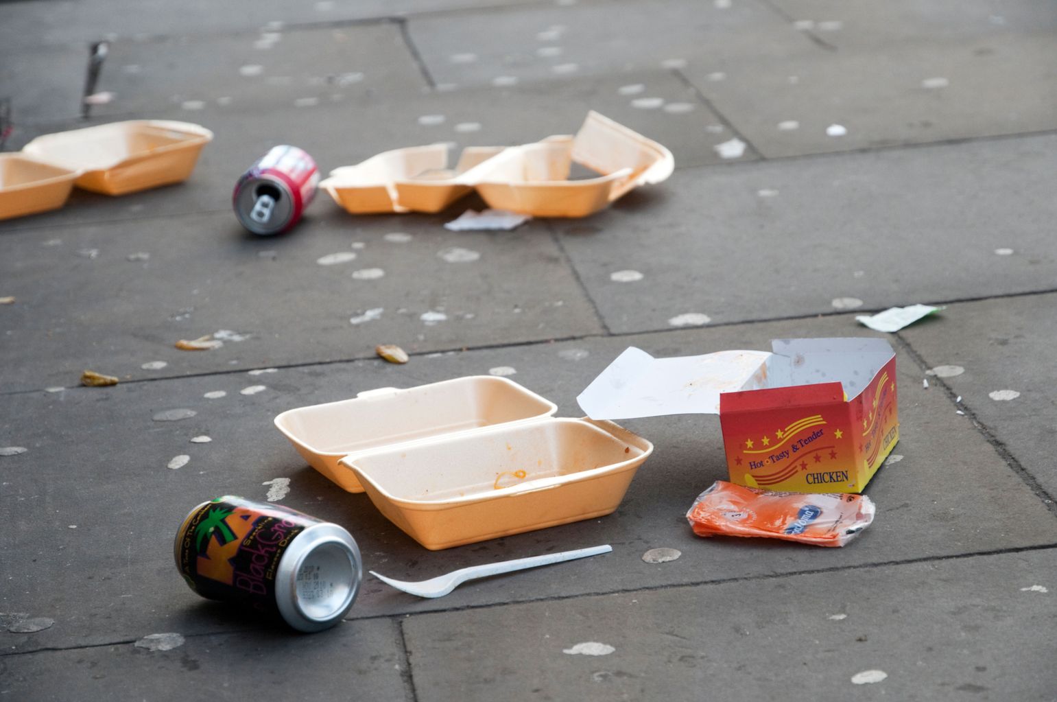 Council issued just ONE littering fine last year