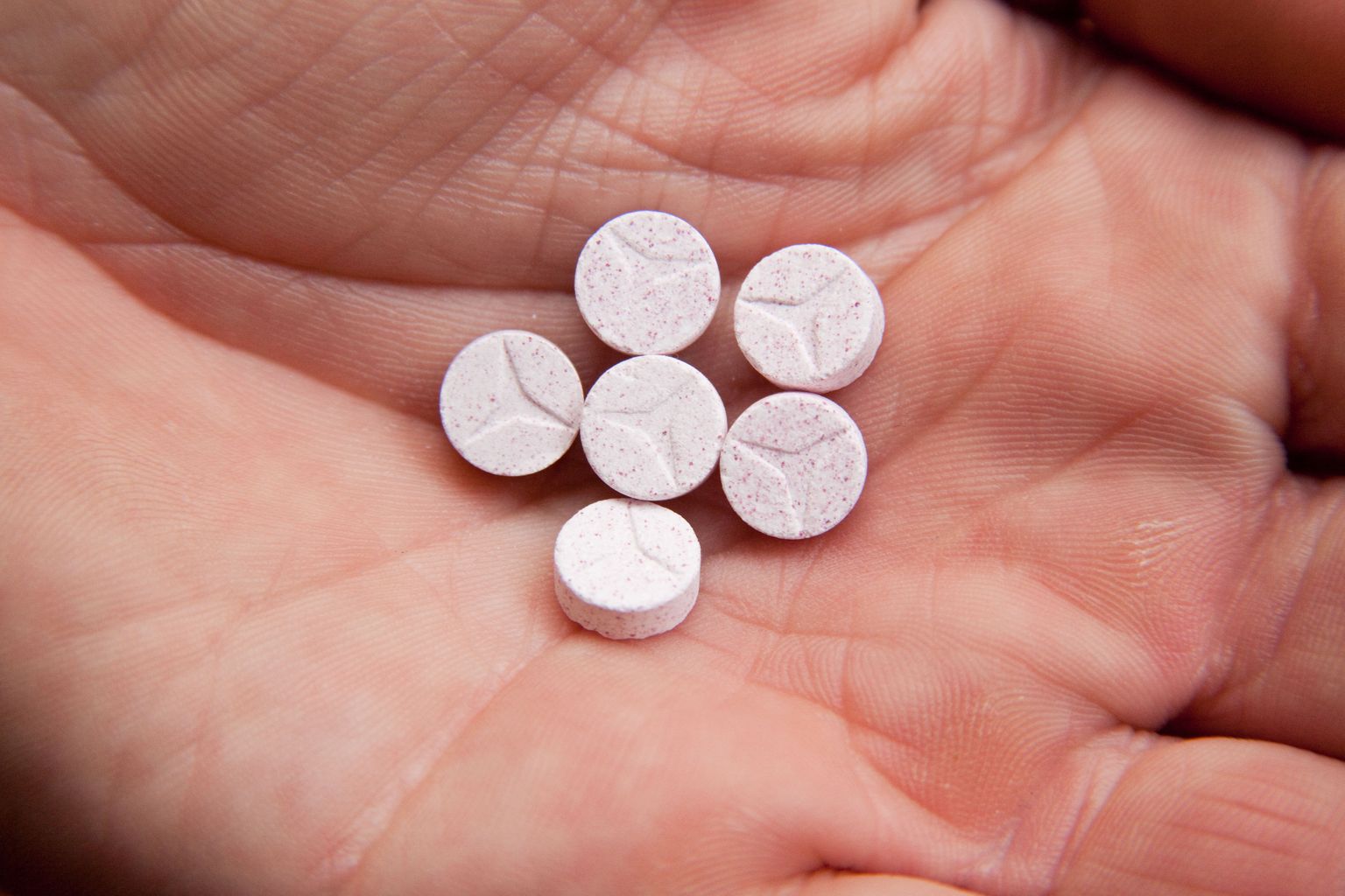 Group jailed after makeshift ecstasy lab discovered in Scarborough ...