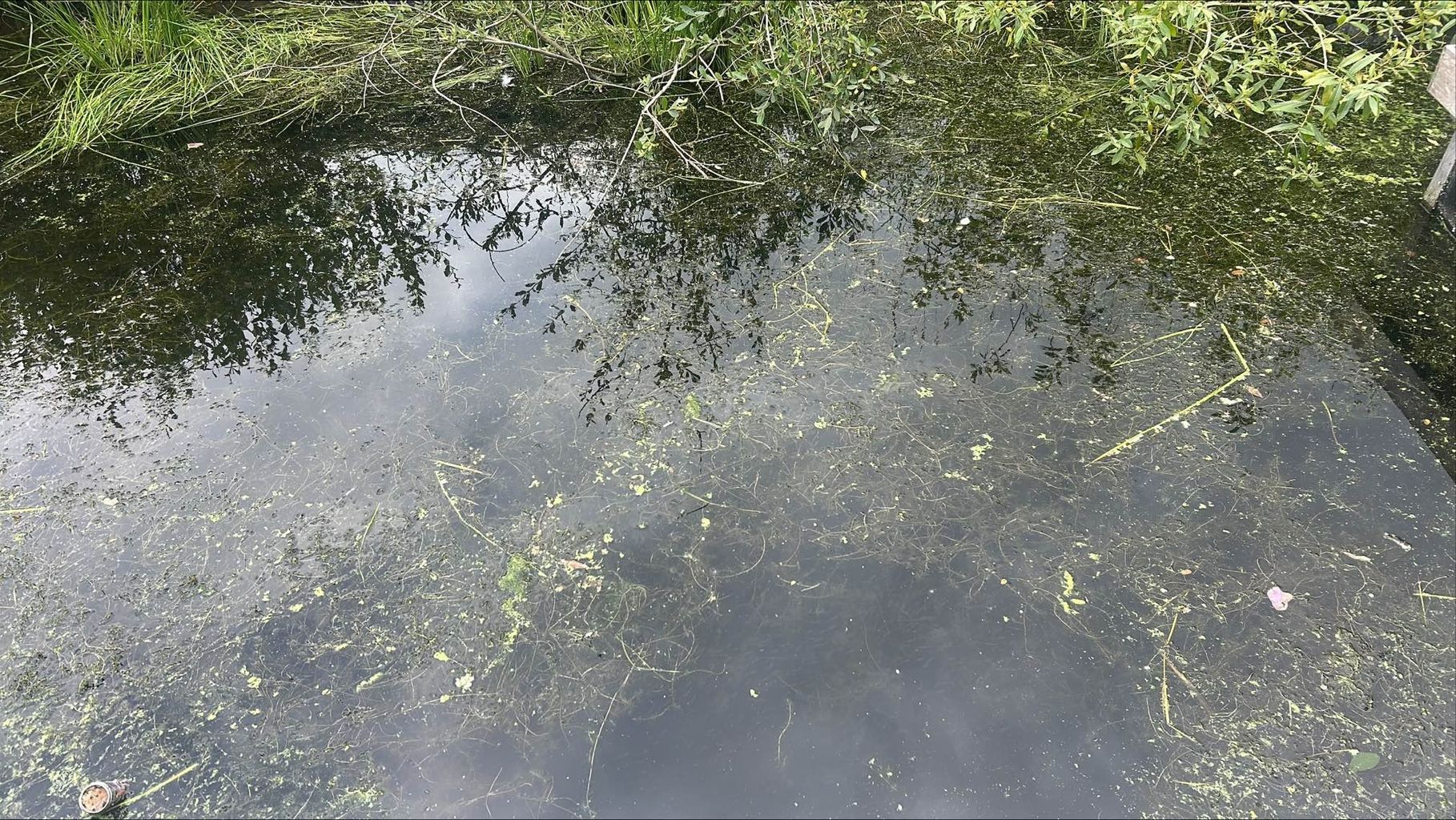 Stormont Ministers agree Lough Neagh action plan | News - Hits Radio ...