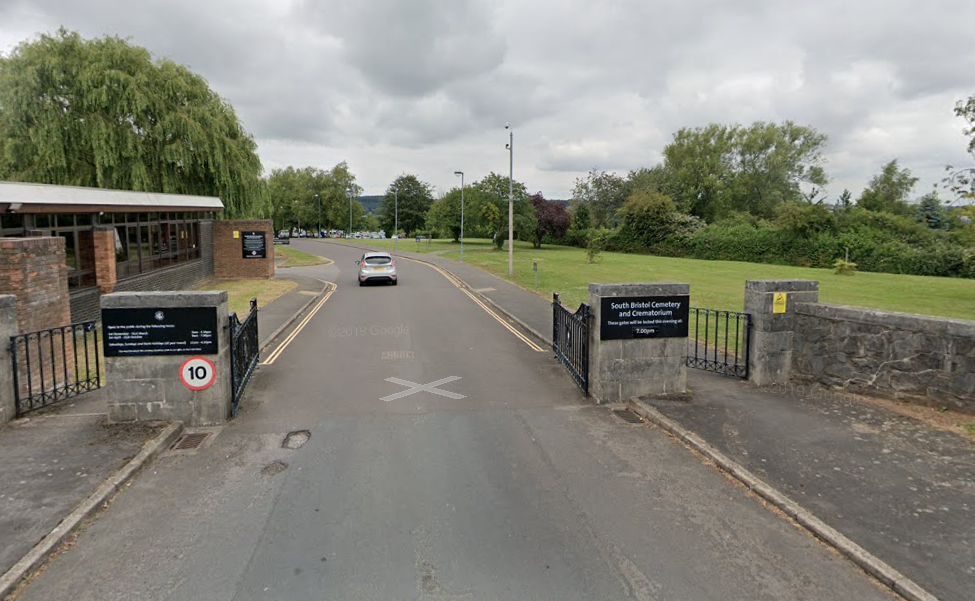Row over Bristol farm continues as footage suggests damage to bird nests