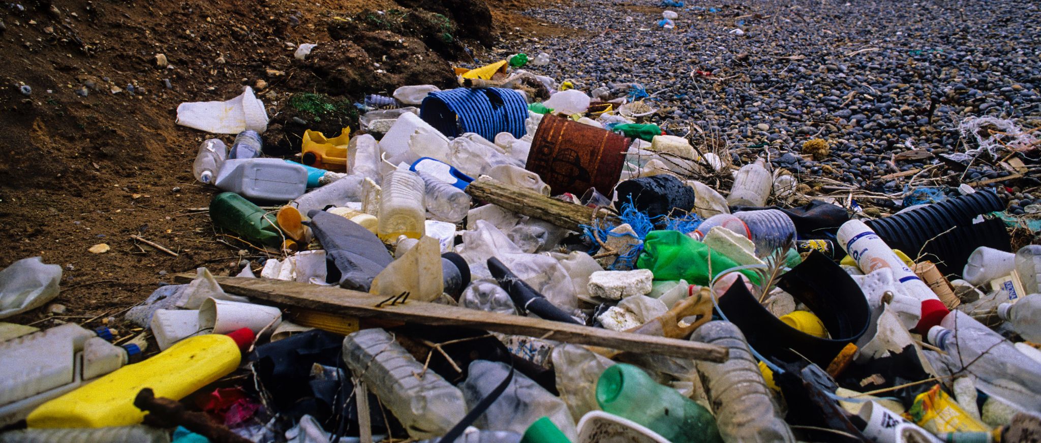 Norfolk environmentalist says a global ban on exporting plastic waste ...
