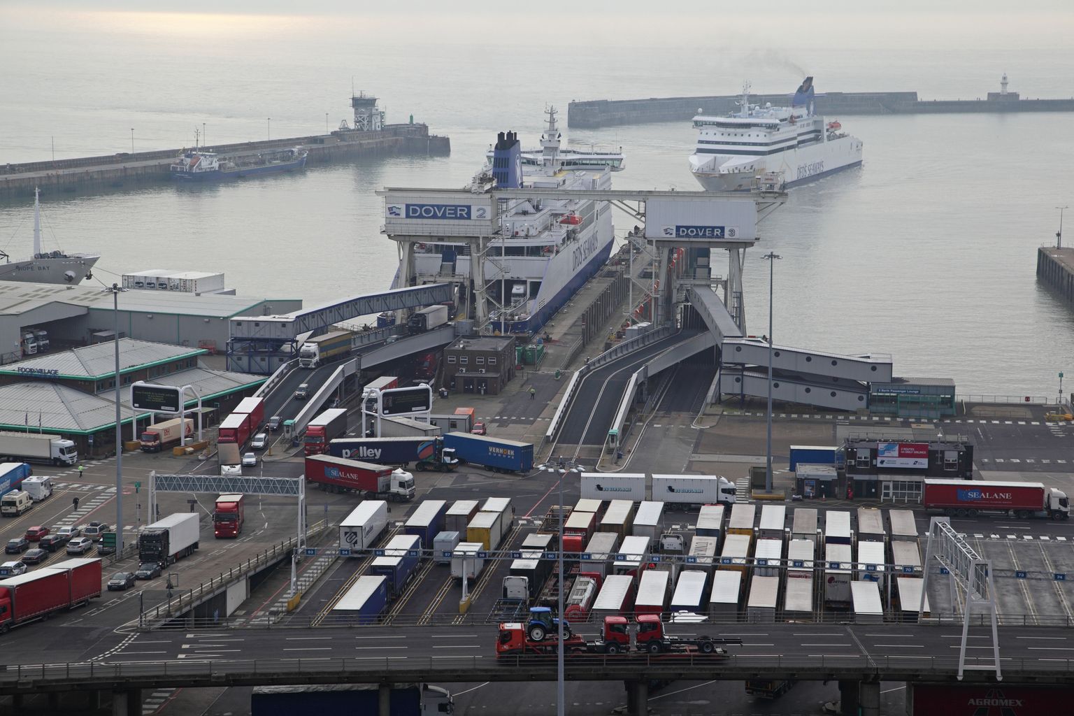 Port of Dover: 'We must minimise the damage' says MP Mike Tapp