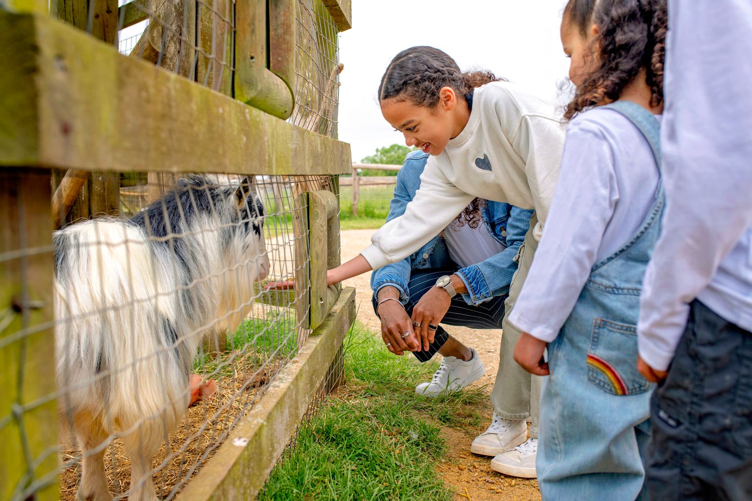 Oxfordshire farm is England’s fastest growing farm attraction