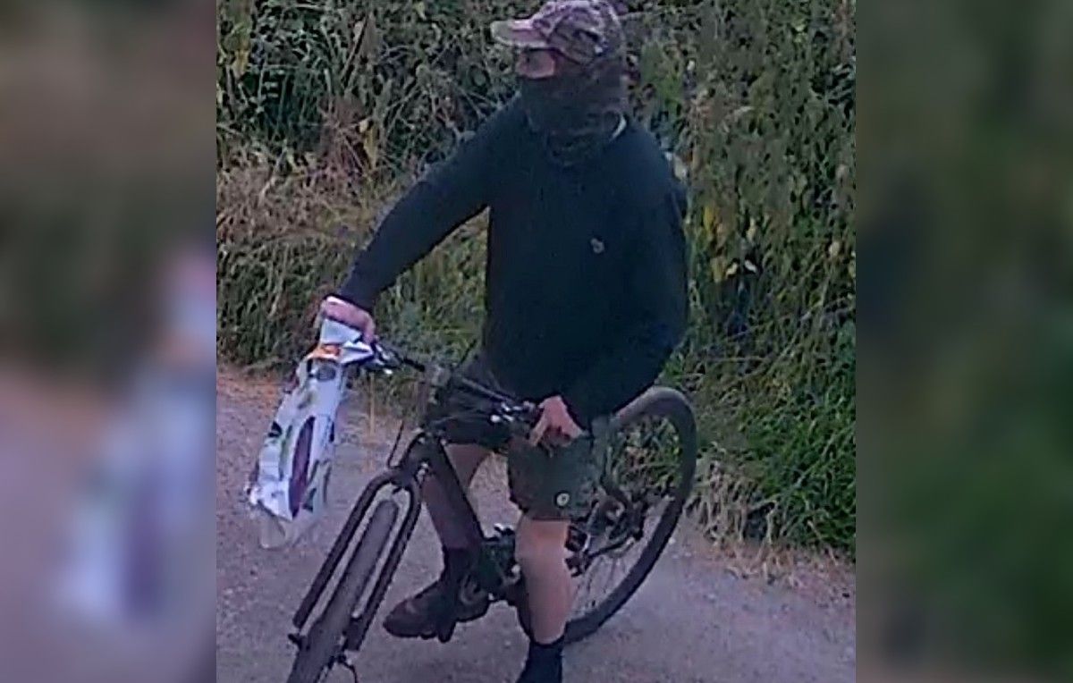 CCTV released after donation boxes stolen from Laverstock farm | GHR ...