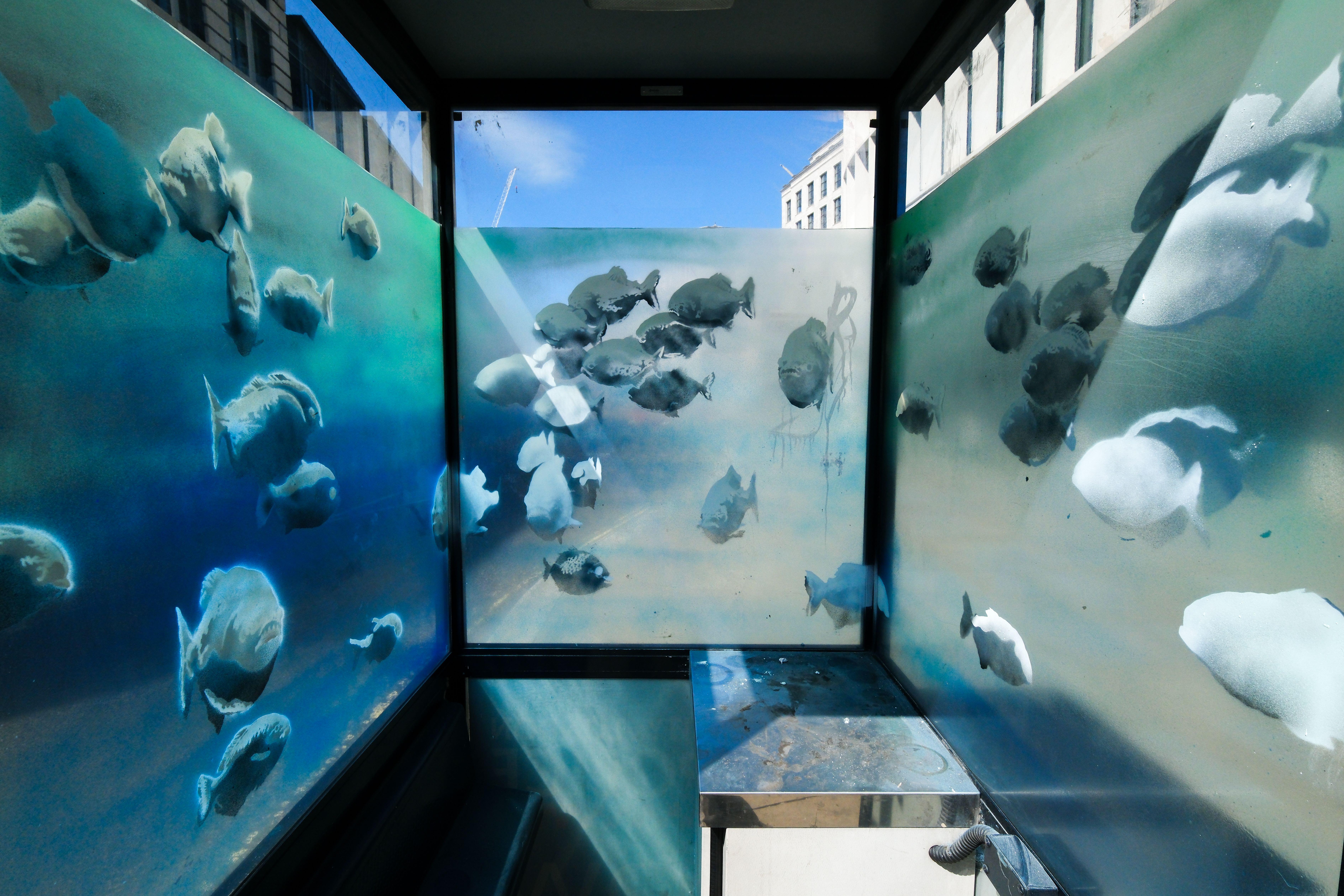 Banksy claims responsibility for new fish artwork in central London ...