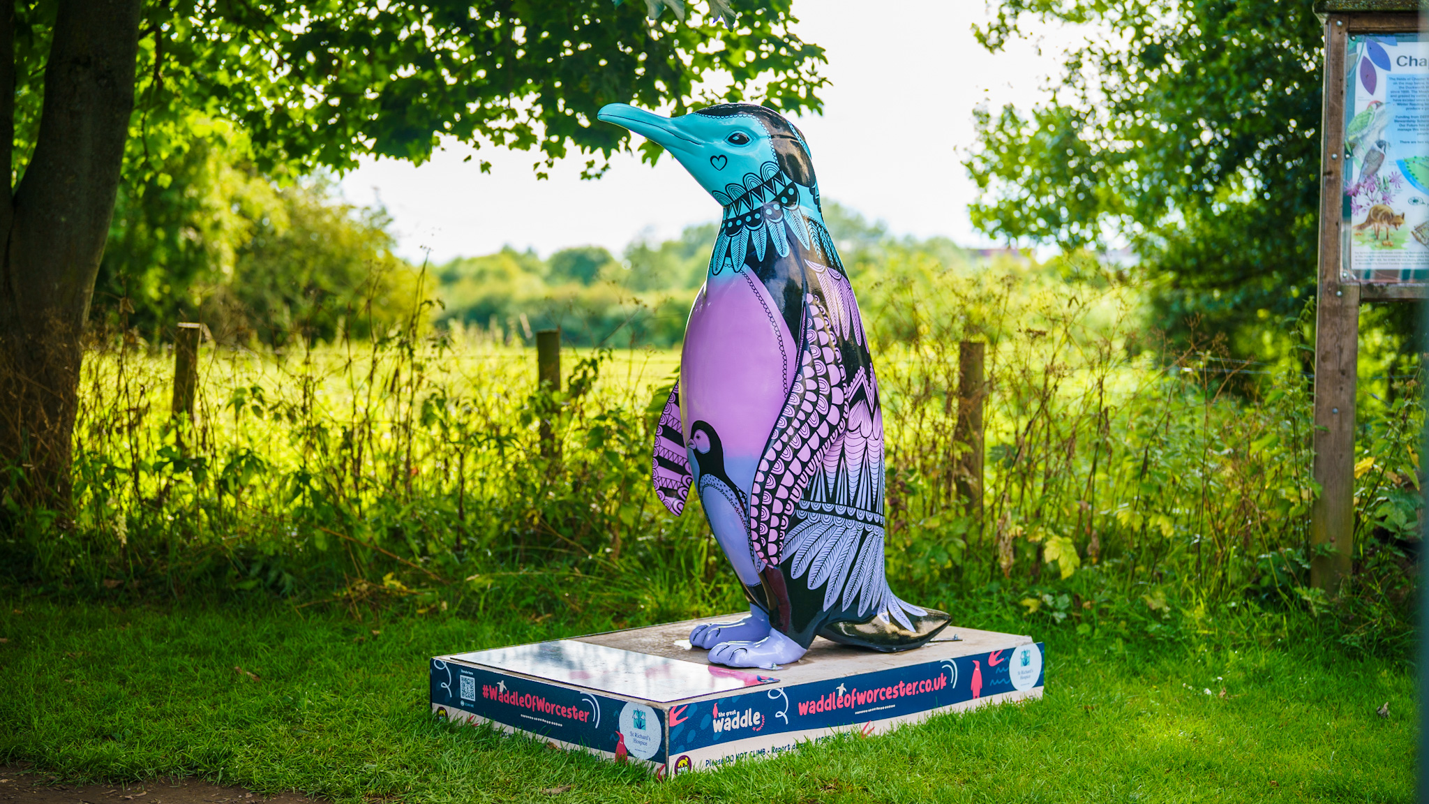 Three Waddle of Worcester penguins back on the trail | News - Hits ...