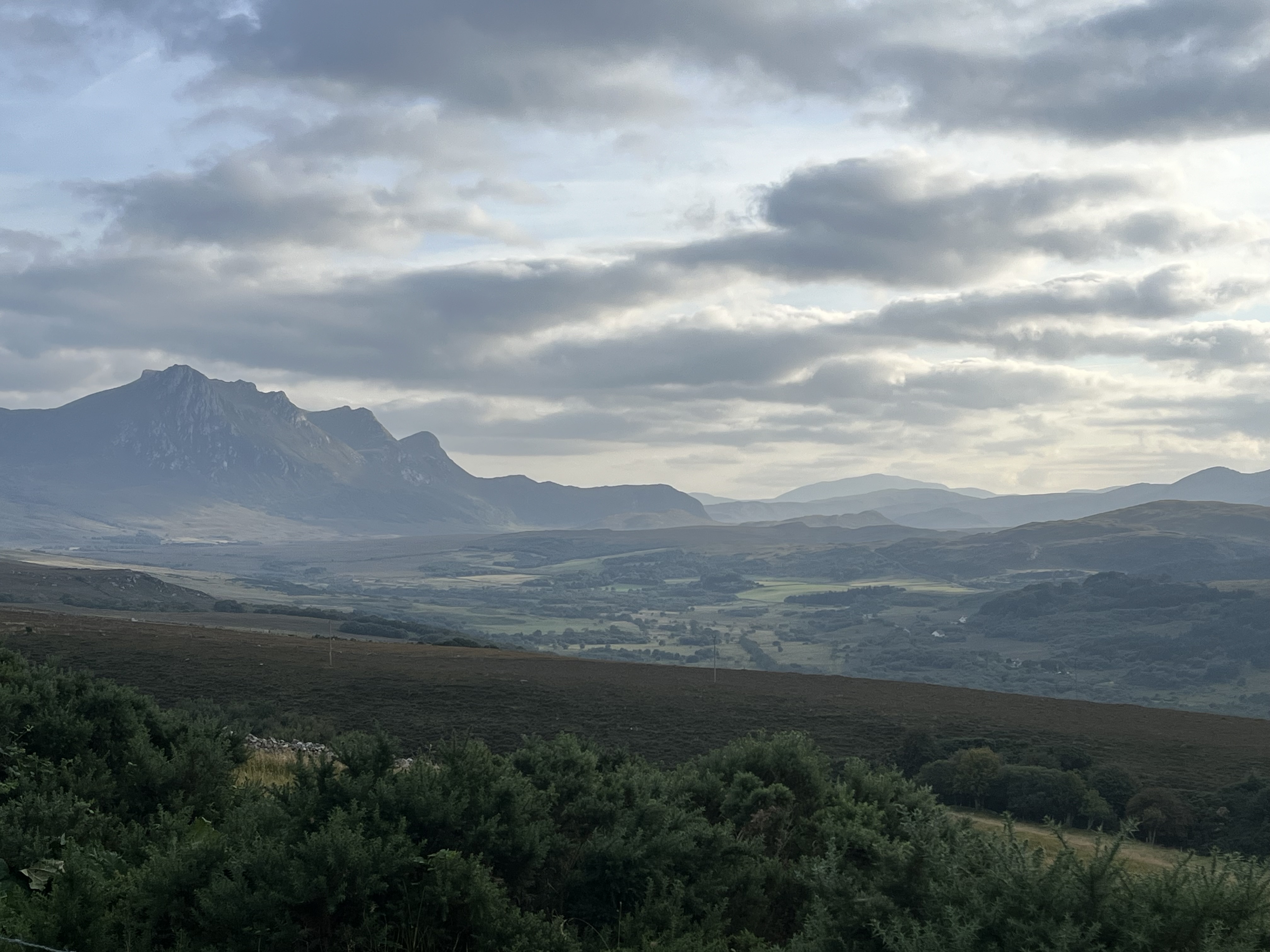 The Use Of Peat In Horticulture at Krista Guerrero blog