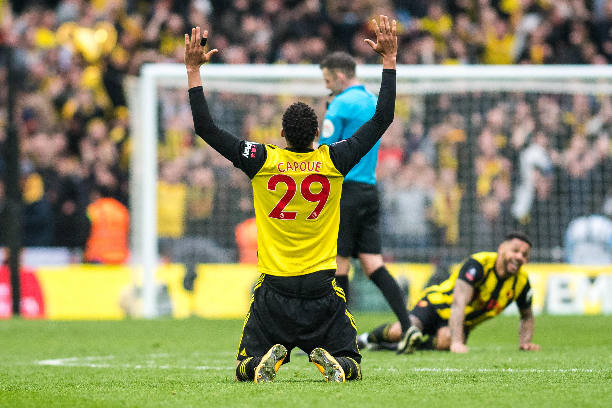 Watford fc news store