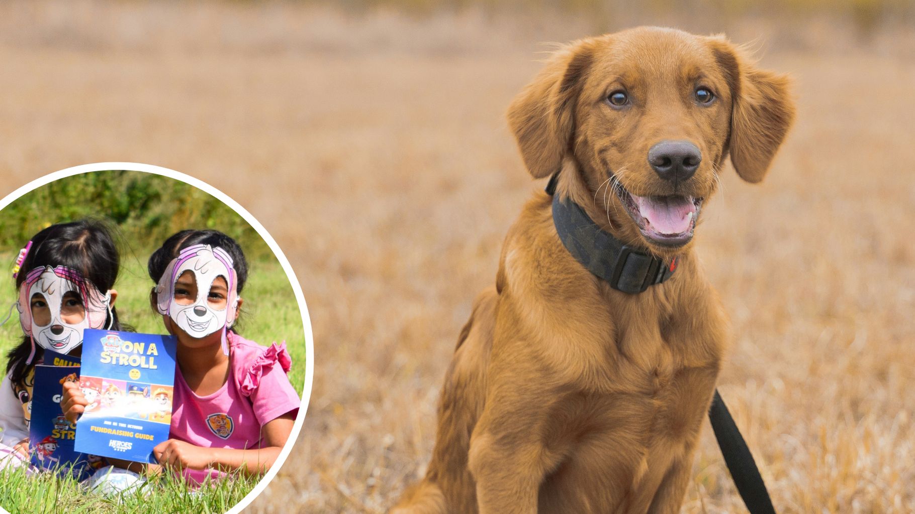 Dogs Trust Ballymena is calling on local children to take on the ‘PAW ...