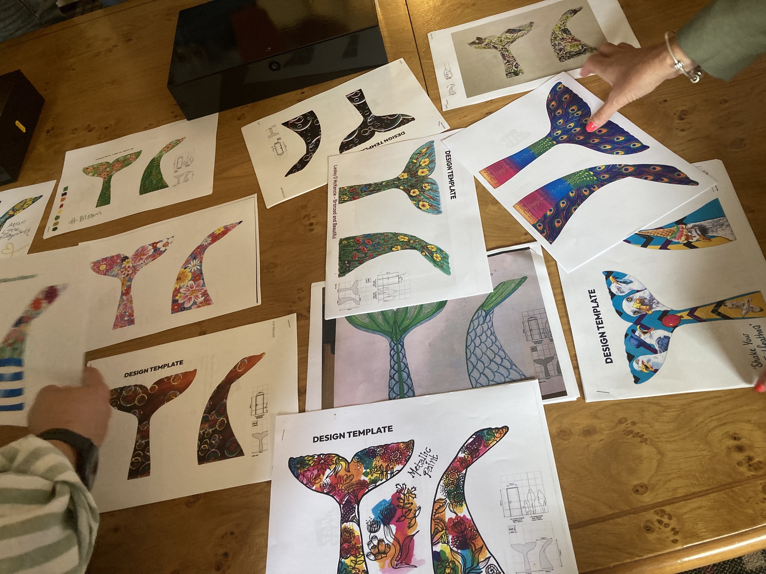 500 designs submitted for BCP Mermaid Tail Trail