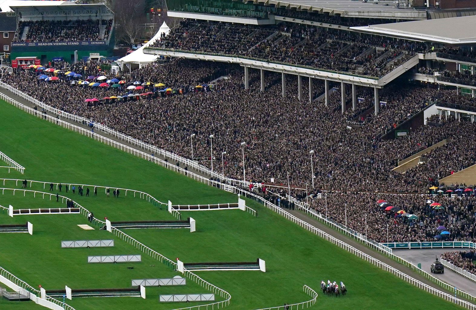 Cheltenham Festival organisers to make significant changes