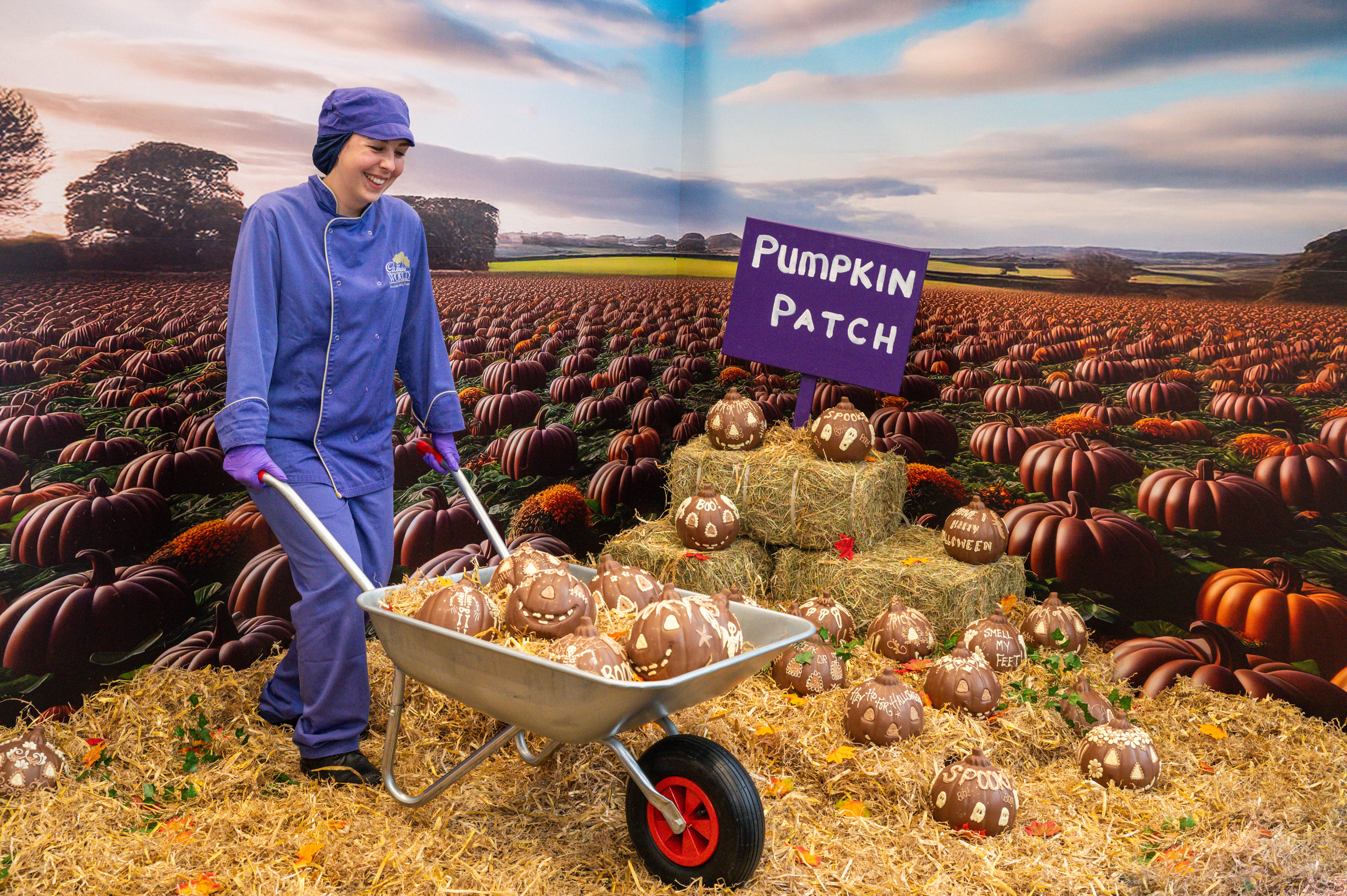 Cadbury World unveils first-ever pumpkin patch made entirely with ...