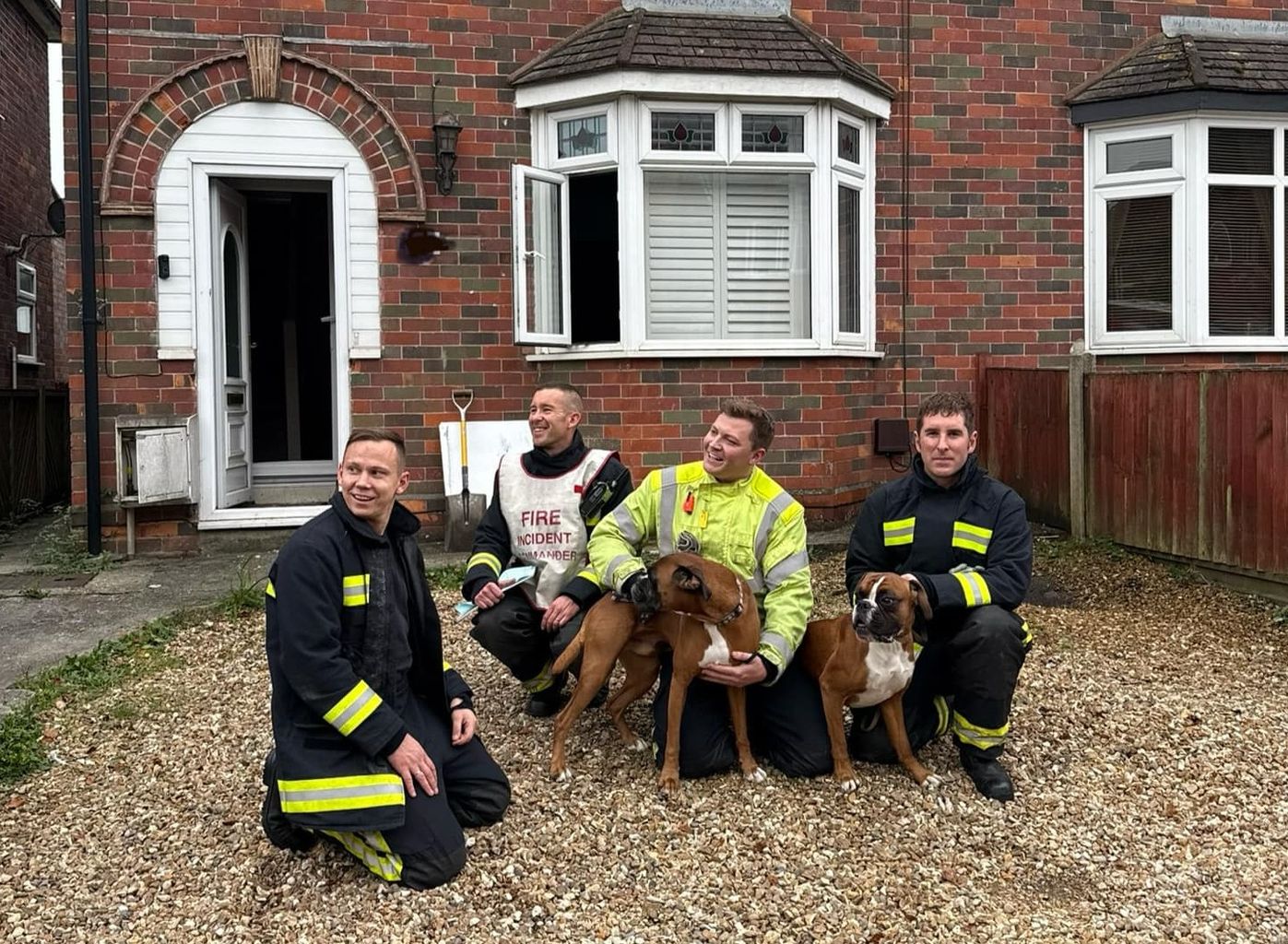 Pet oxygen masks given to dogs after they started a house fire | News ...