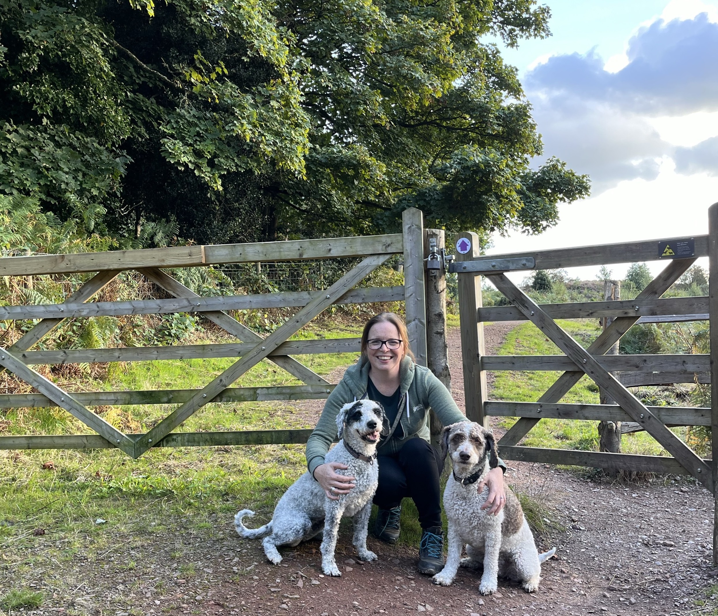 Kidderminster vet shares firework season advice for pet owners | News ...