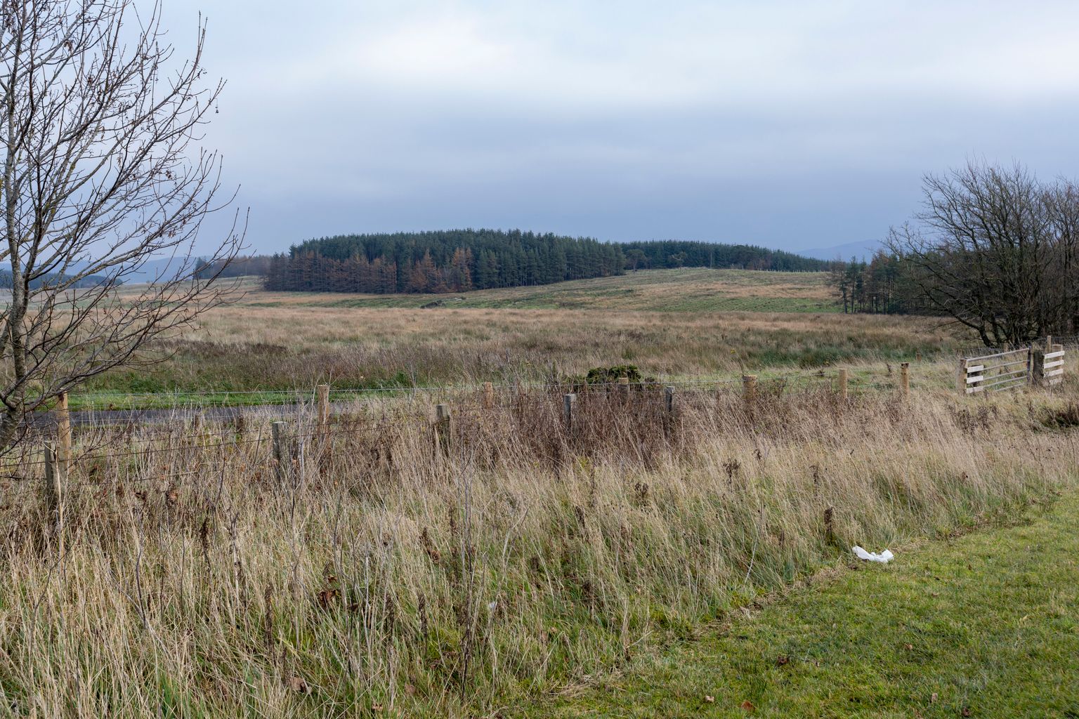 New £400m holiday park represents an exciting ‘new dawn’ for Hawick ...