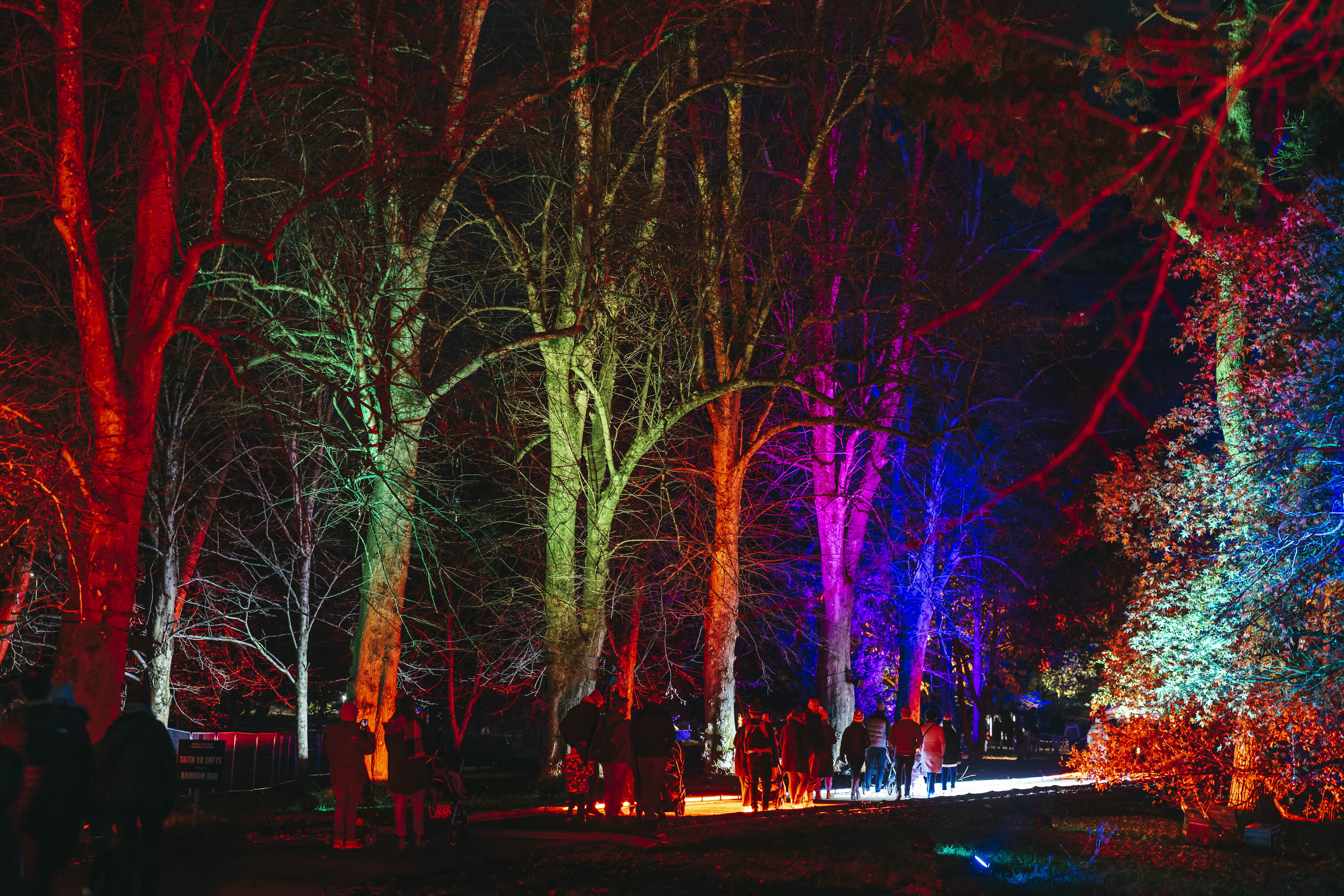 Northern Lights Newcastle Unveils Full 2024 Trail Map And New ...