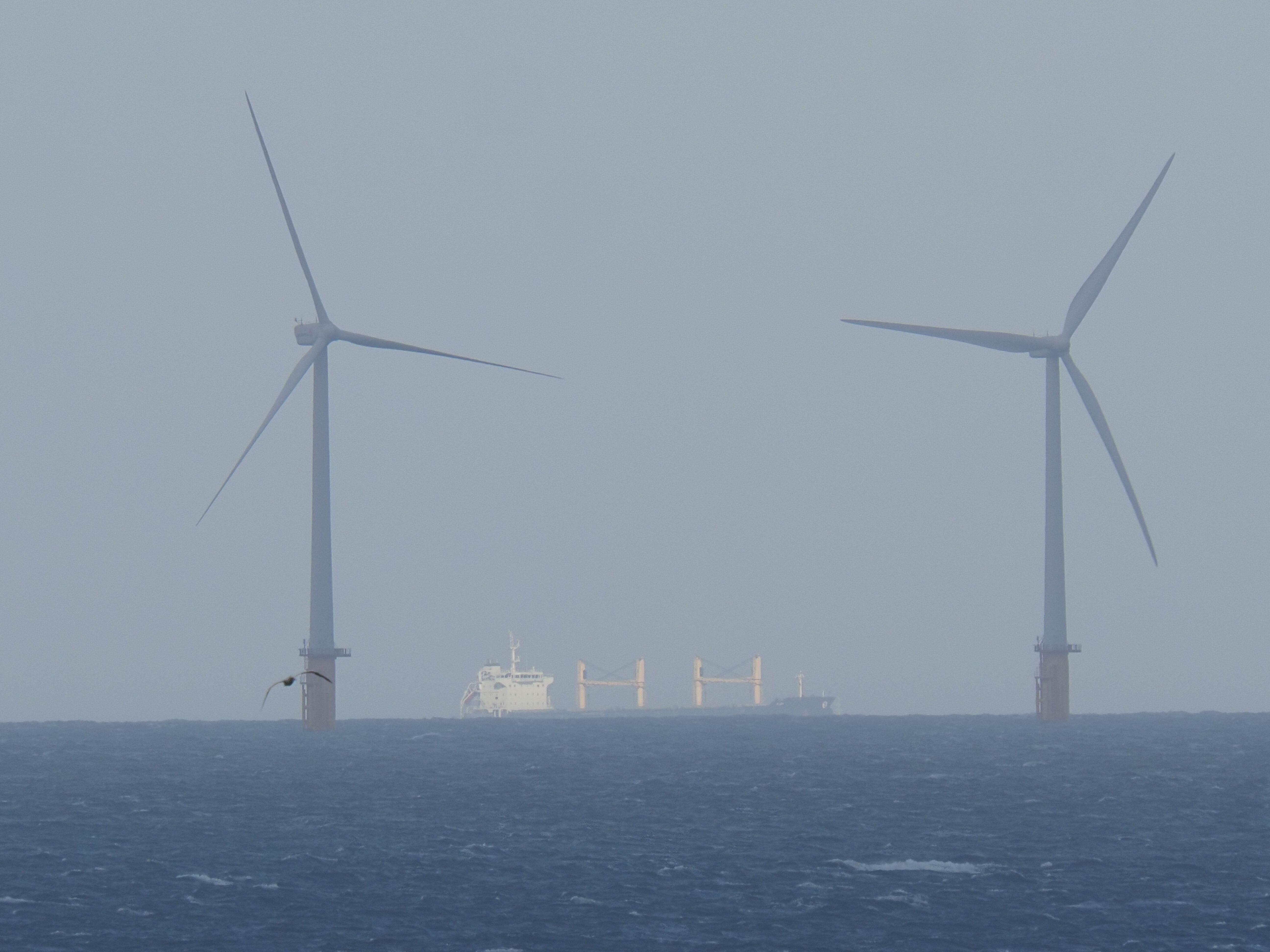 Ship holding 20,000 tonnes of potentially explosive fertiliser to leave ...