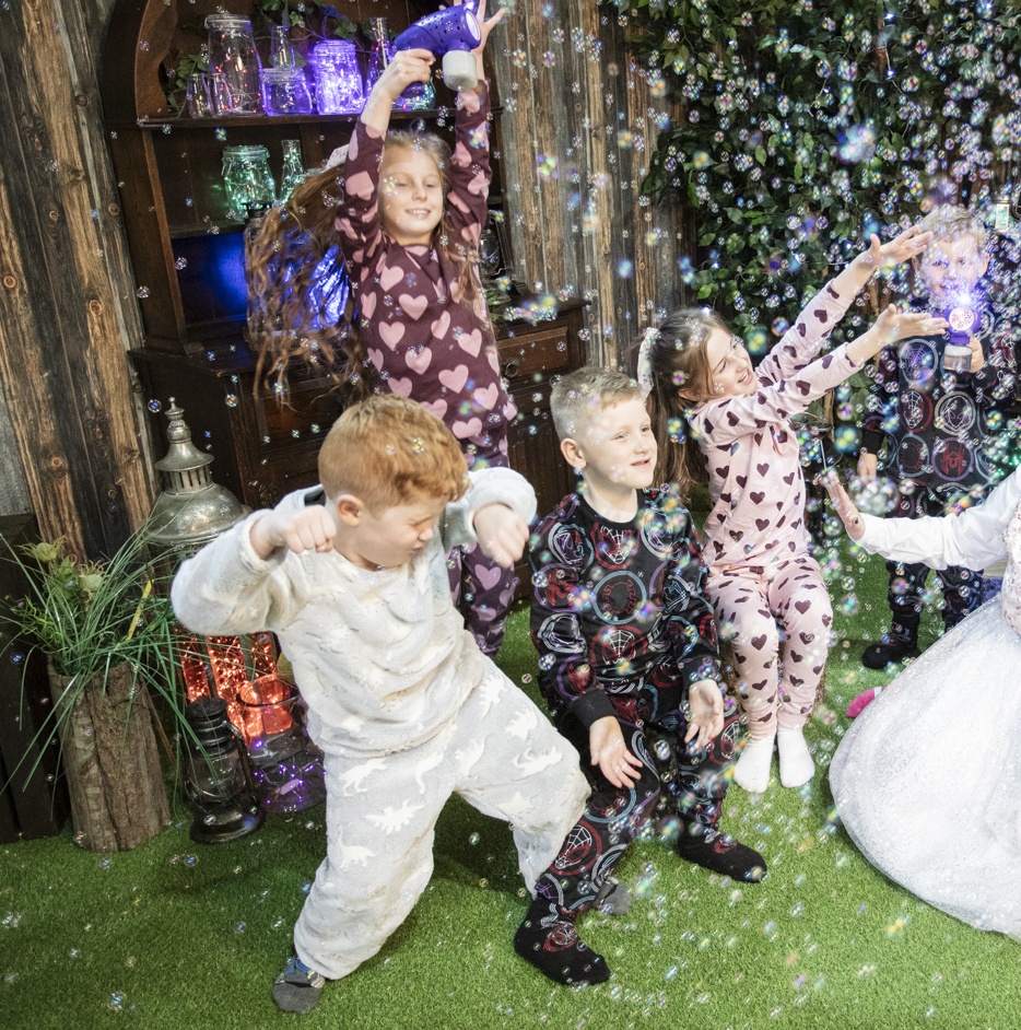 A new dream-themed attraction comes to Wynyard Hall this festive season ...