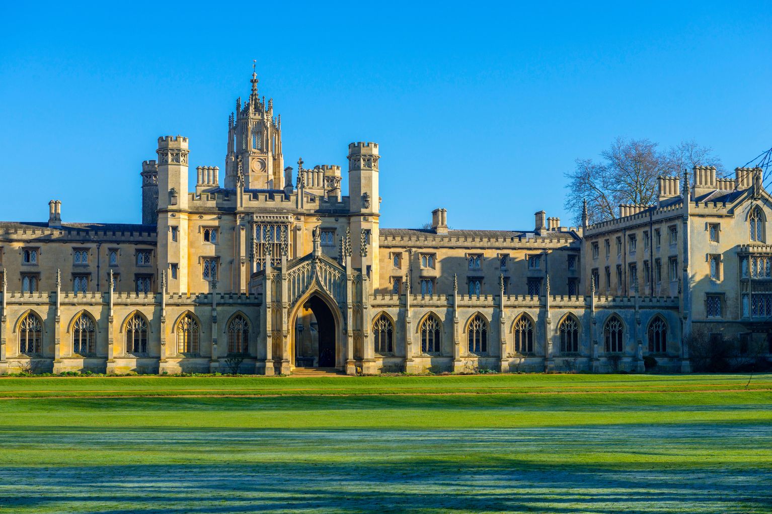 Cambridge university vet course stripped of accreditation | News ...