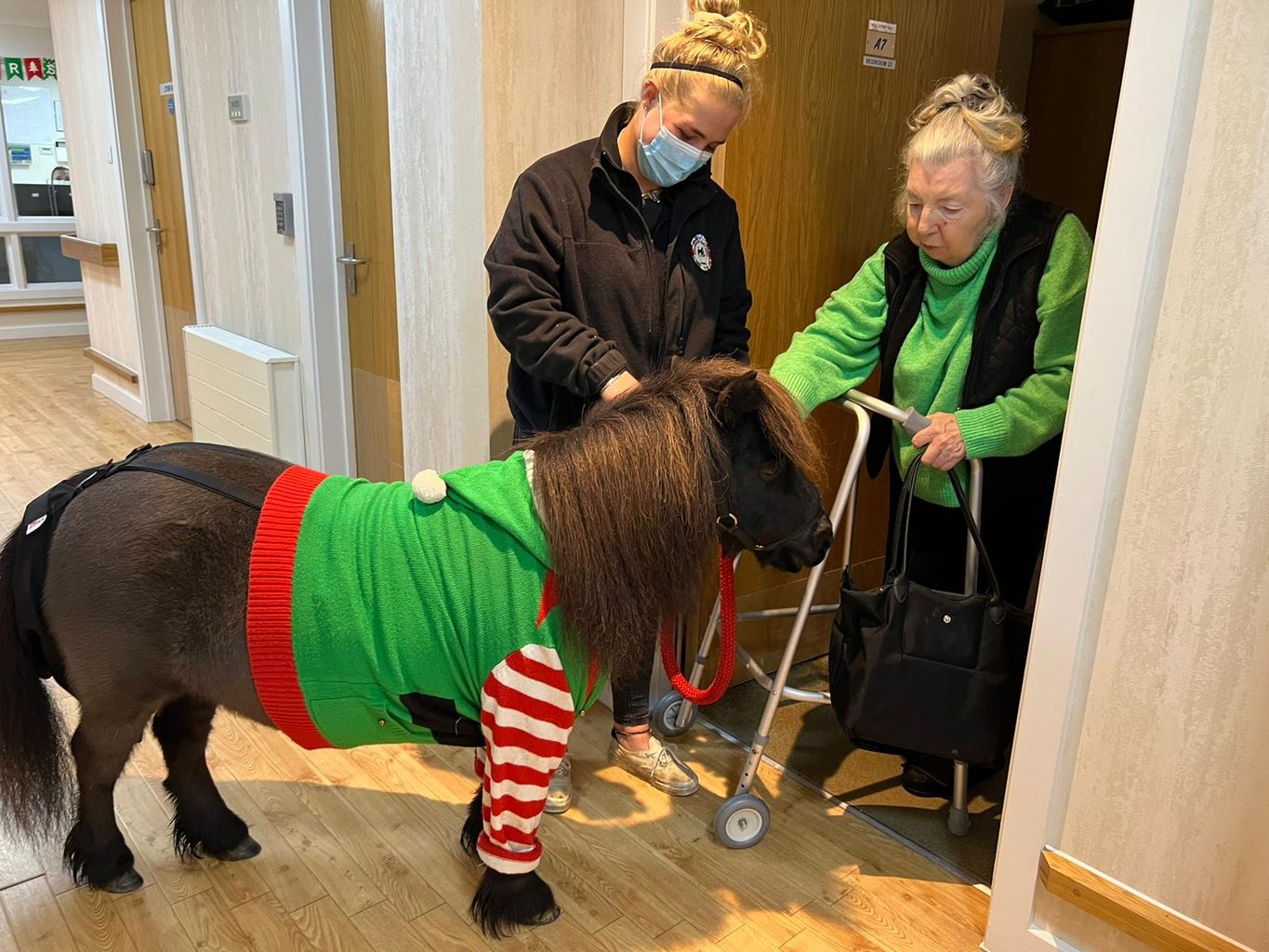 Neigh-tivity! Therapy ponies visit Surrey care home