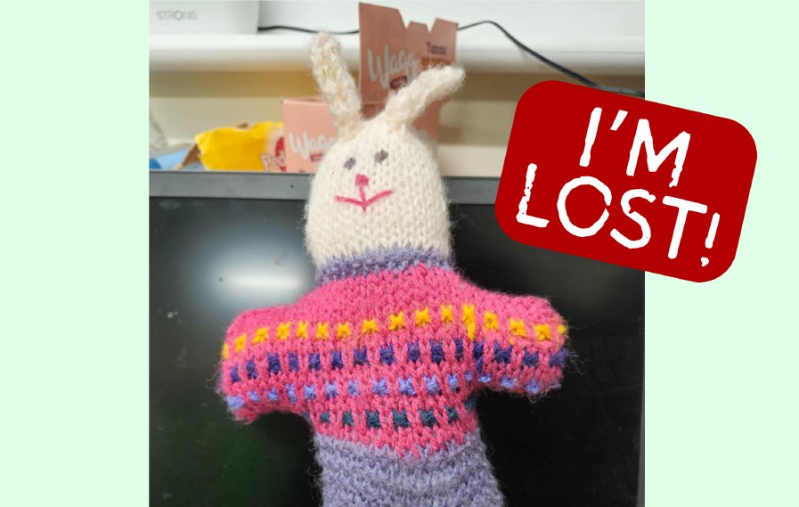 Appeal to trace bunny's owner in Dorchester