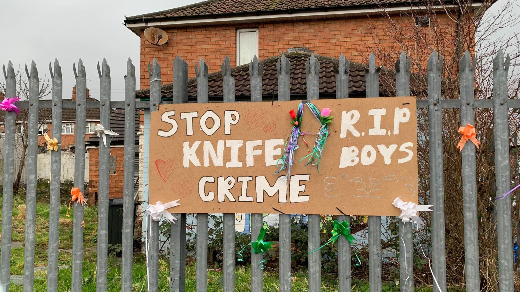 Teenagers apologise for Knowle West murders