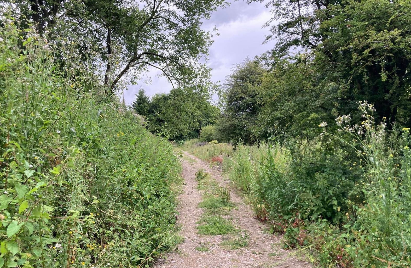 Thousands of pounds pledged to restore land near to River Frome | News ...