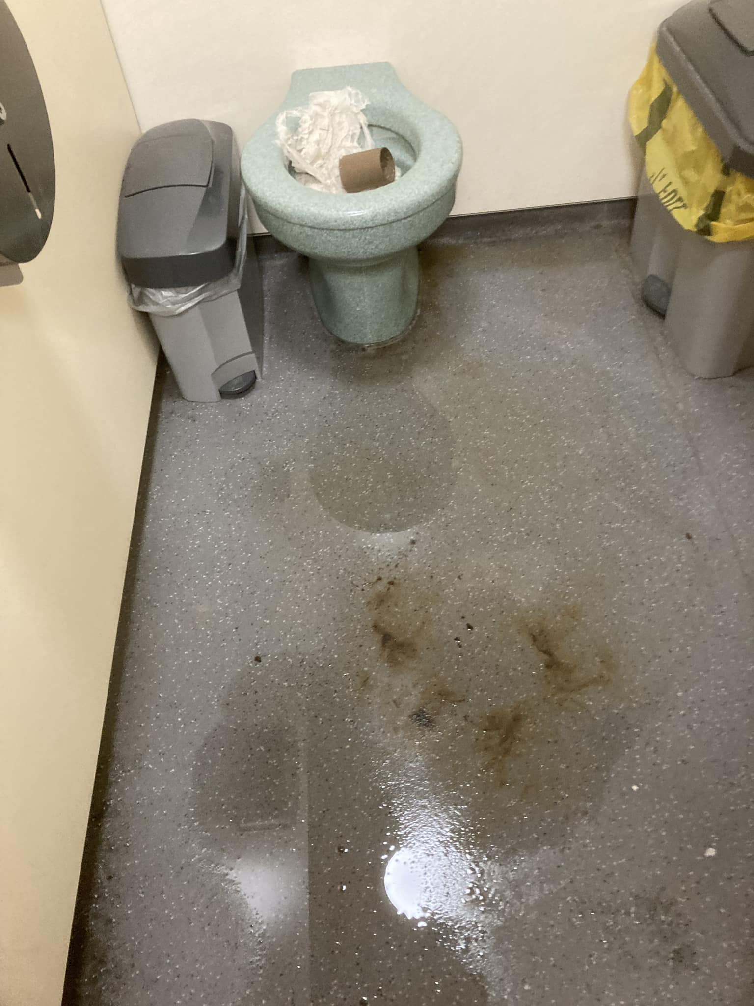 Poo-dunnit? 'Mindless vandals' blamed for loss of Kelso loos