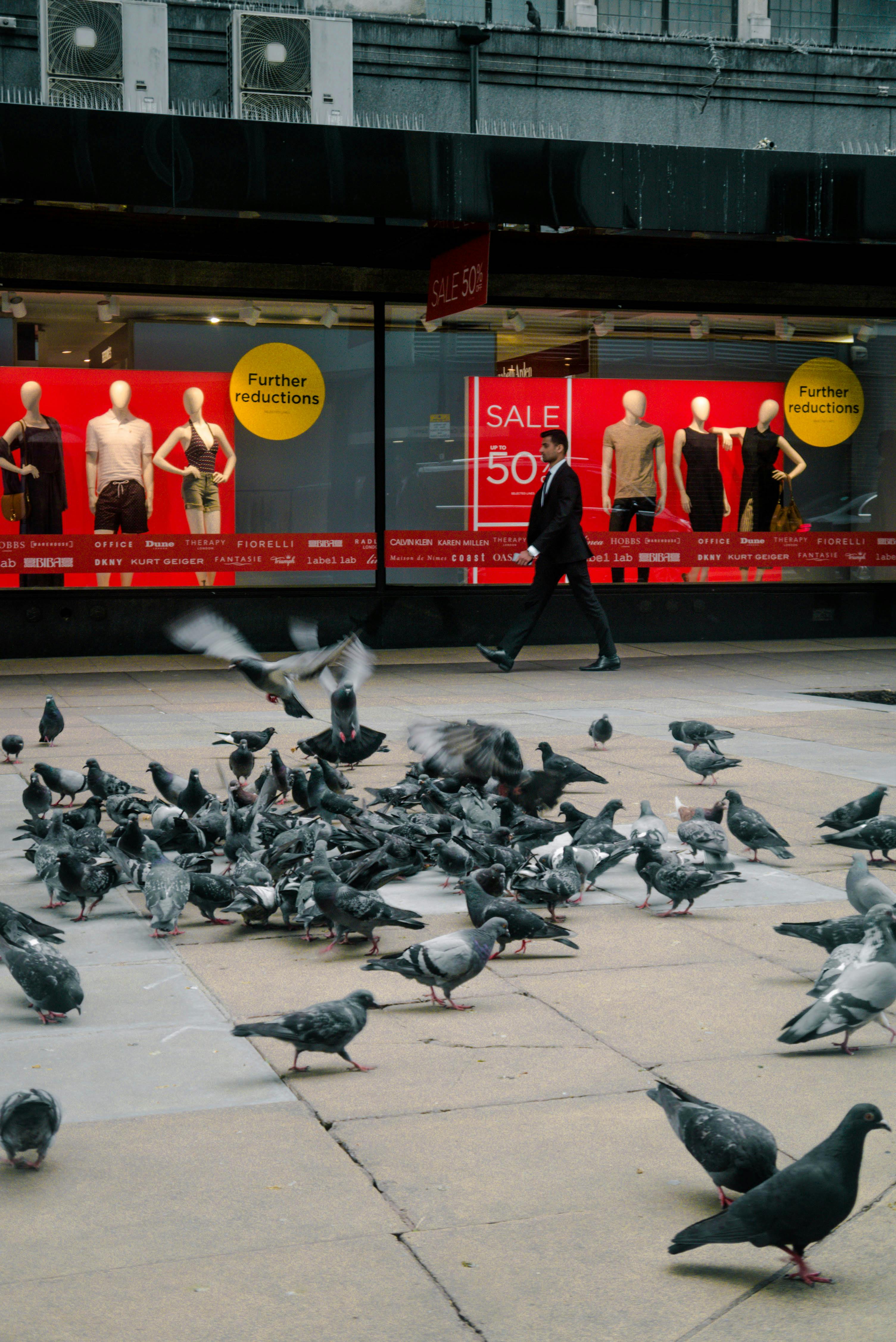 Shoppers predicted to spend £236 each in Boxing Day sales | News - Forth 1