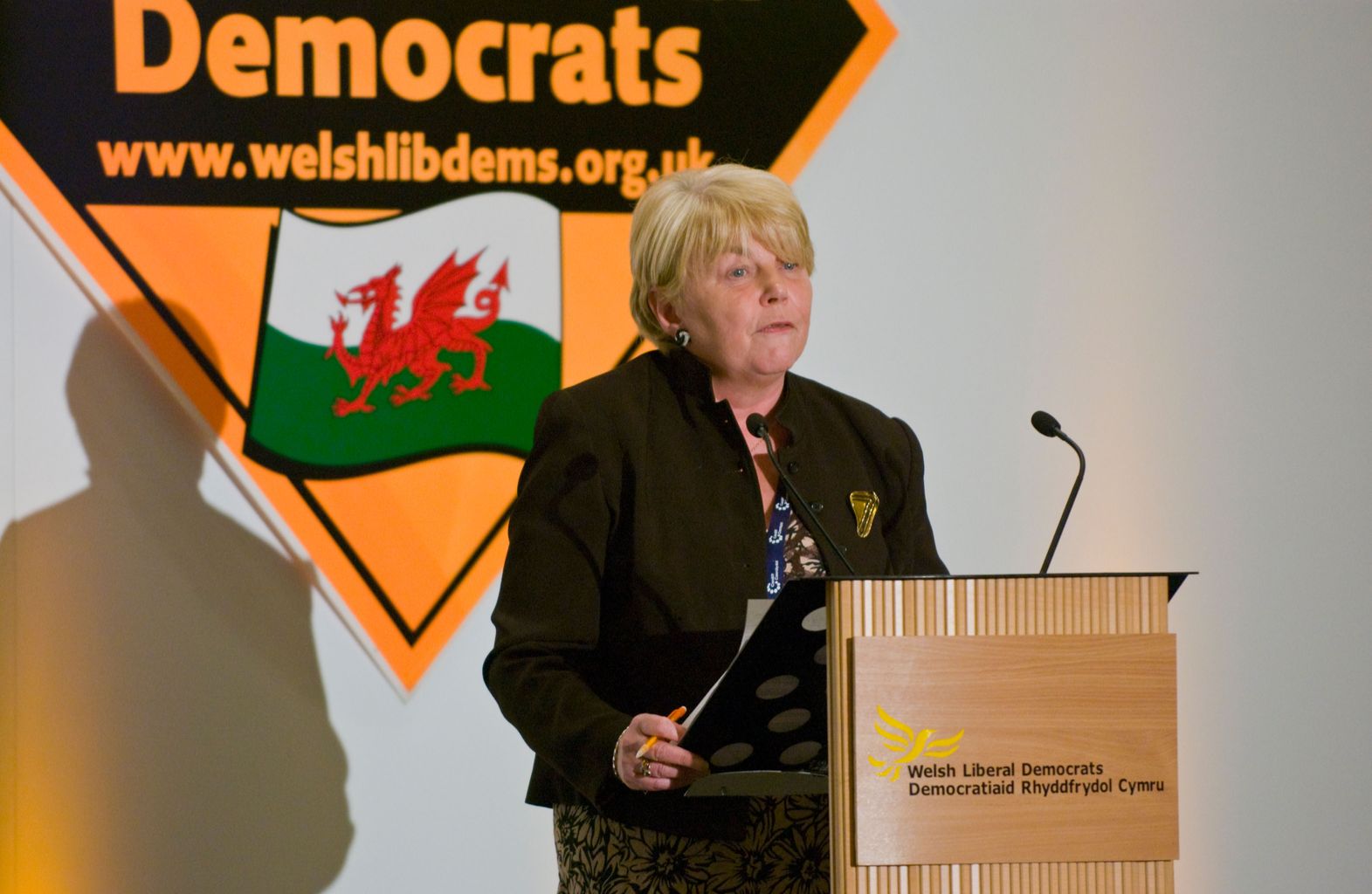 Tributes paid to former Welsh minister Baroness Jenny Randerson | News ...