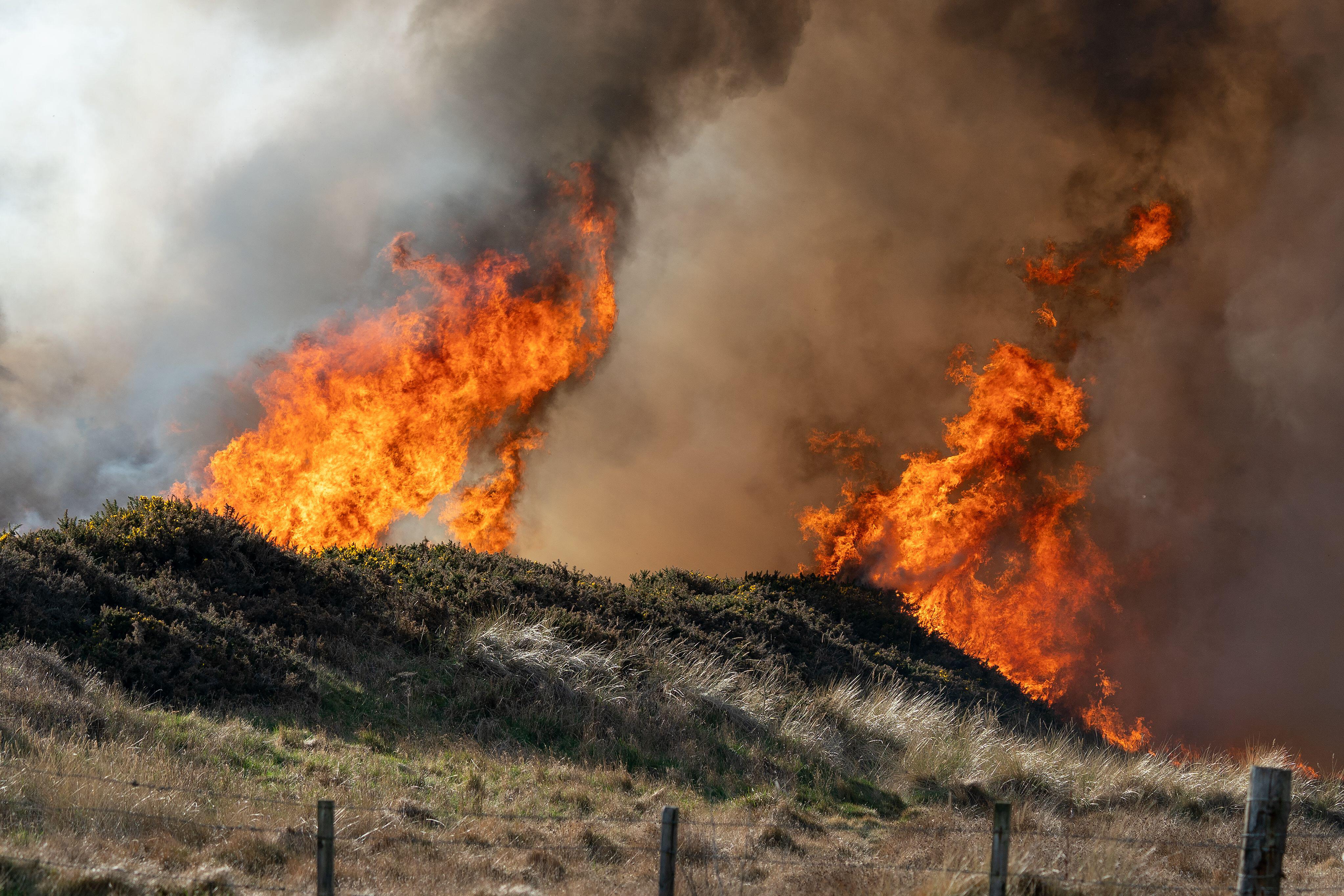 Fire crews tackling "well developed" roof fire in Angus