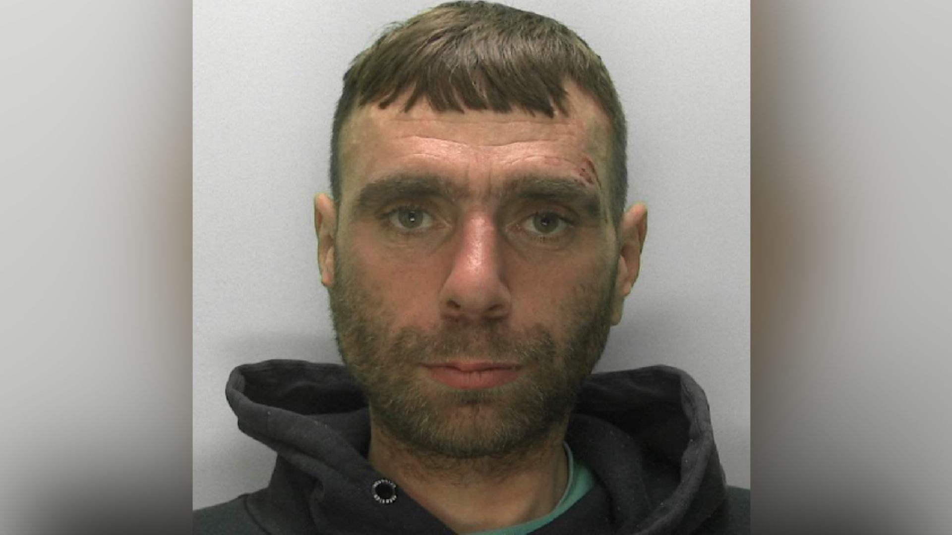 Man sentenced over XL Bully attack in Cheltenham