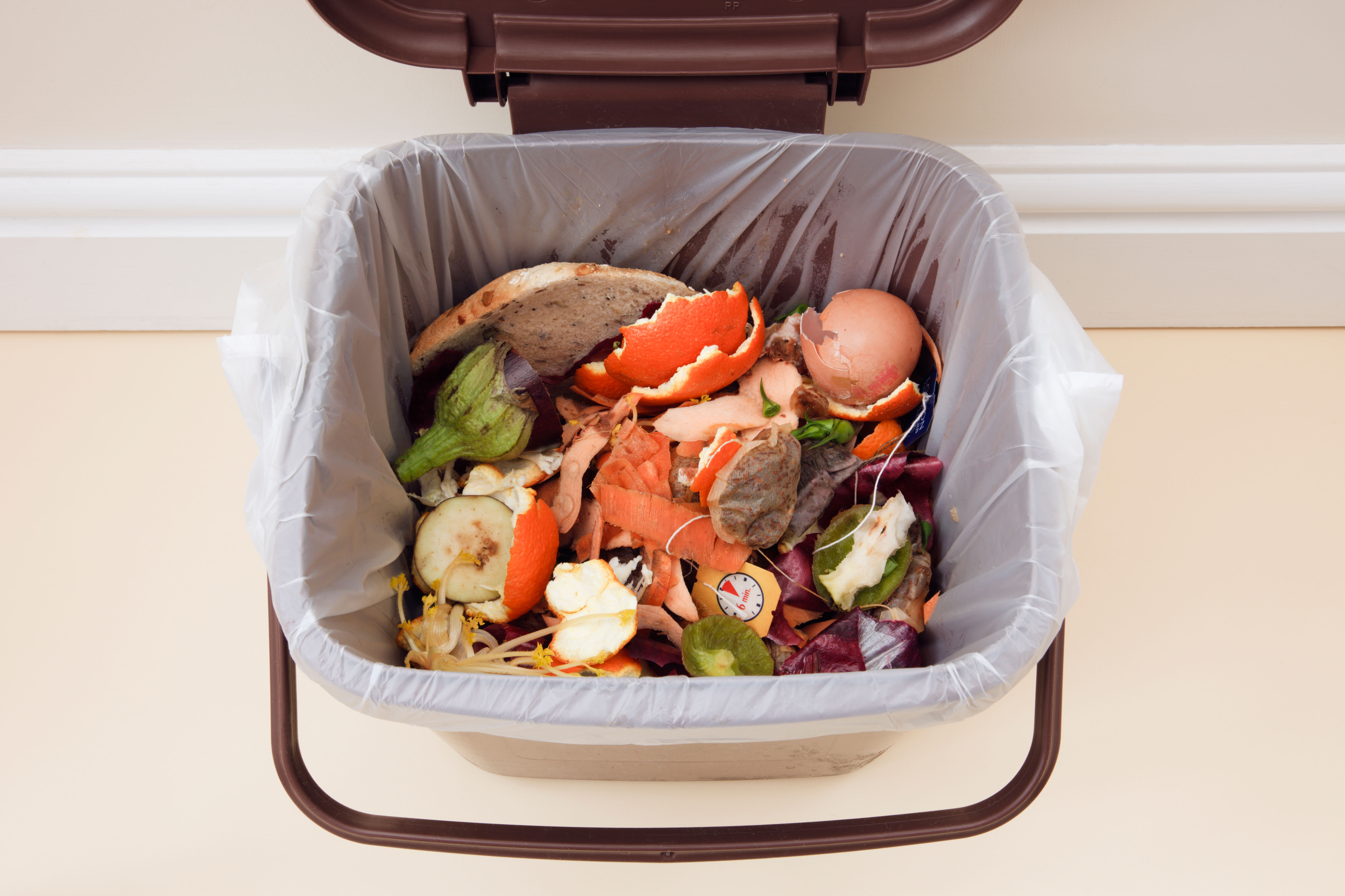 Kerbside food waste collections to begin in Andover