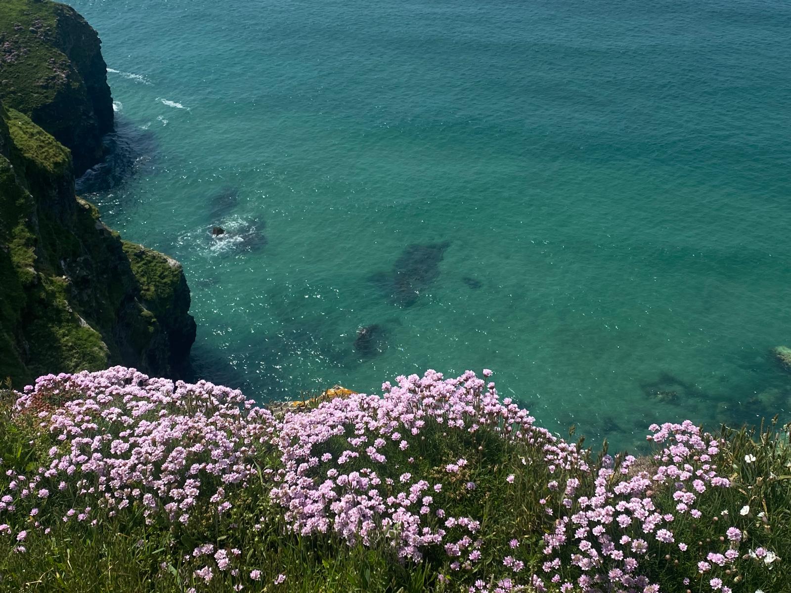 Businesses call for 'clarity' and a 'devolution deal that reflects ...