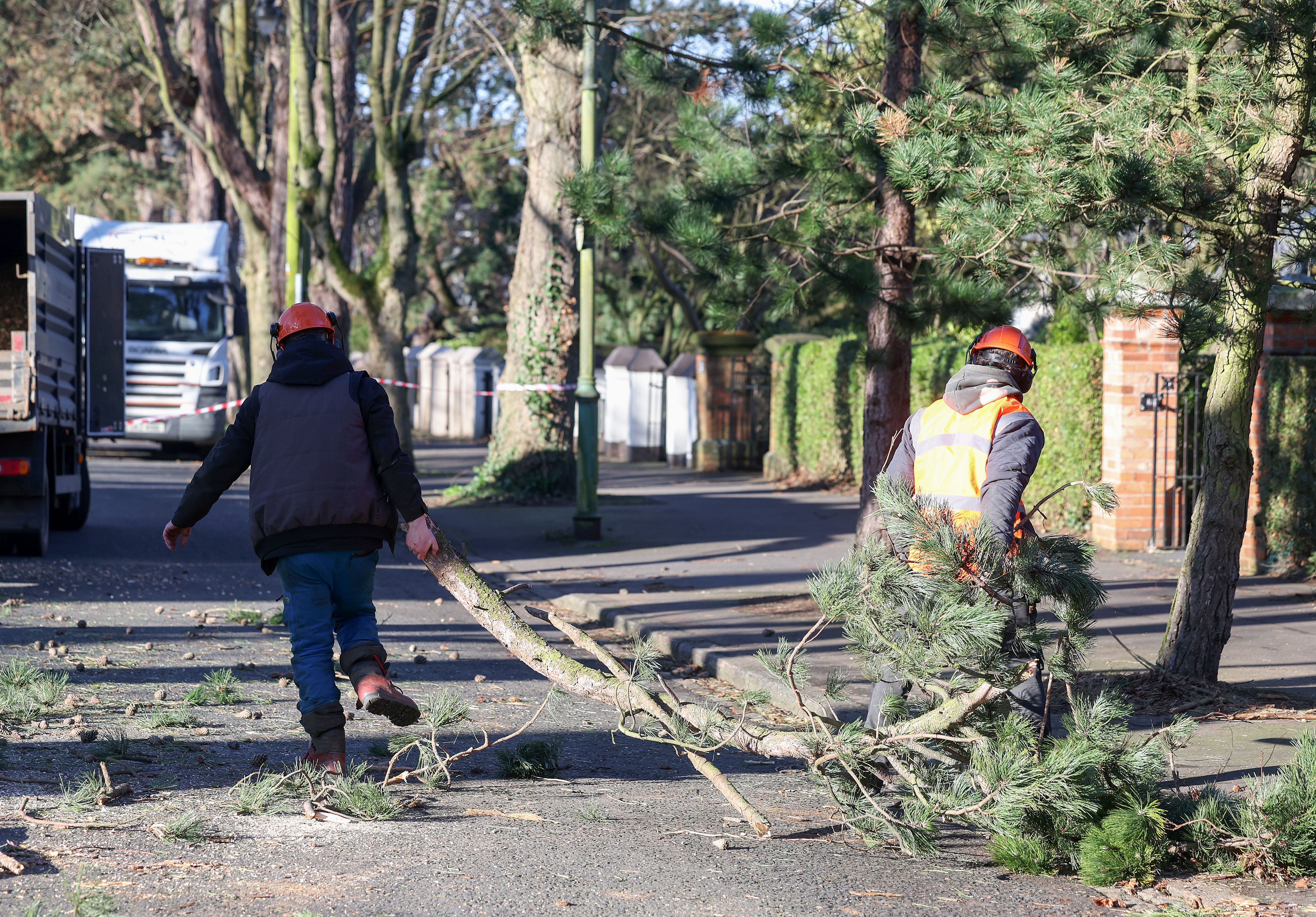 NI still in the throes of Storm Eowyn clear-up operation