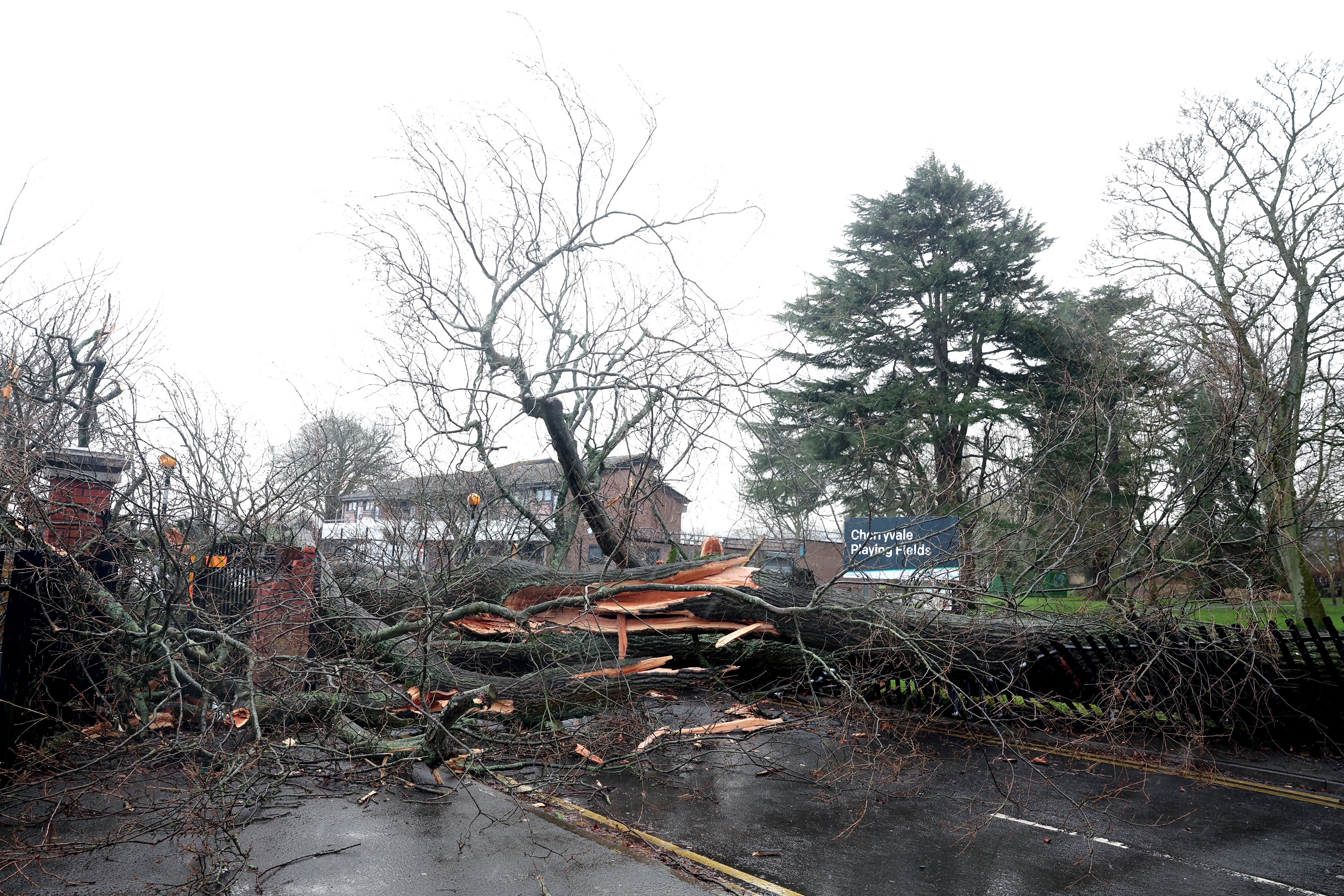 NI homes still with water supply issues as a result of Storm Eowyn