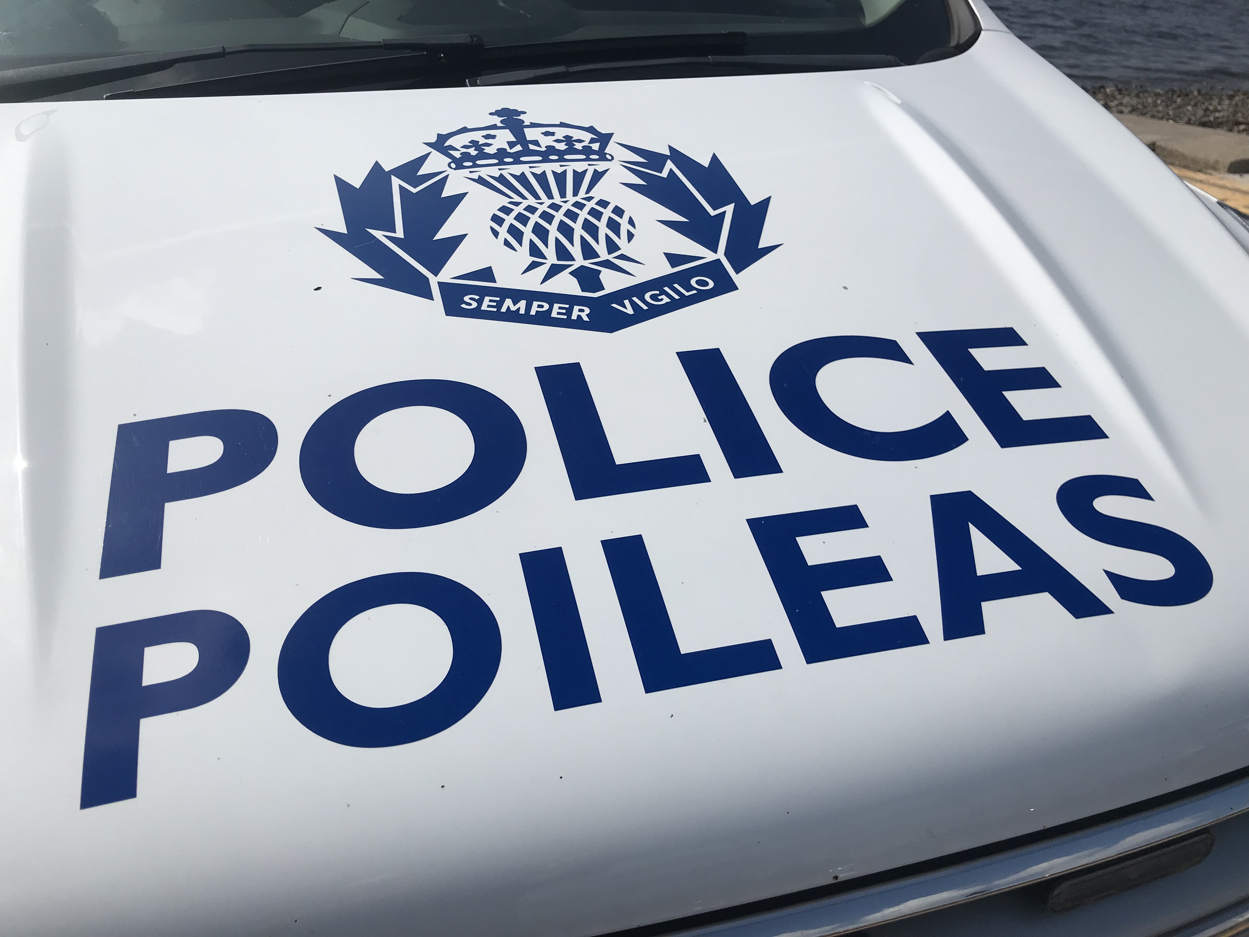 Teenager charged after Falkirk "possible weapon" incident