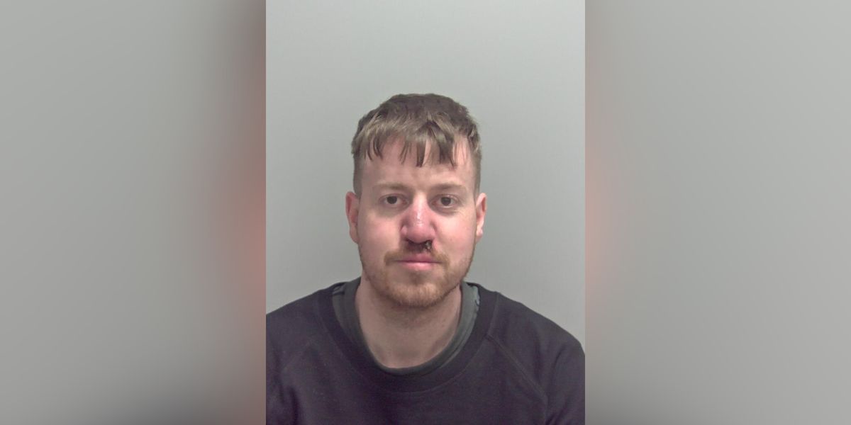 Norfolk man jailed and five avoid prison after knowingly selling sick ...