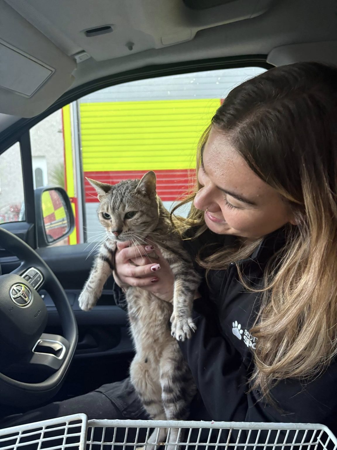 Dundee's Cleo the cat rescued after Storm Eowyn