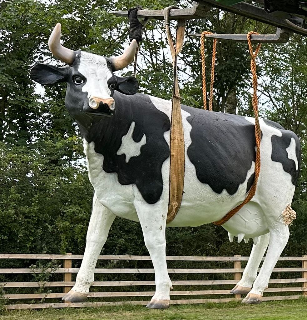 Hard to moooooove, life-size plastic cow is stolen from North Yorkshire ...