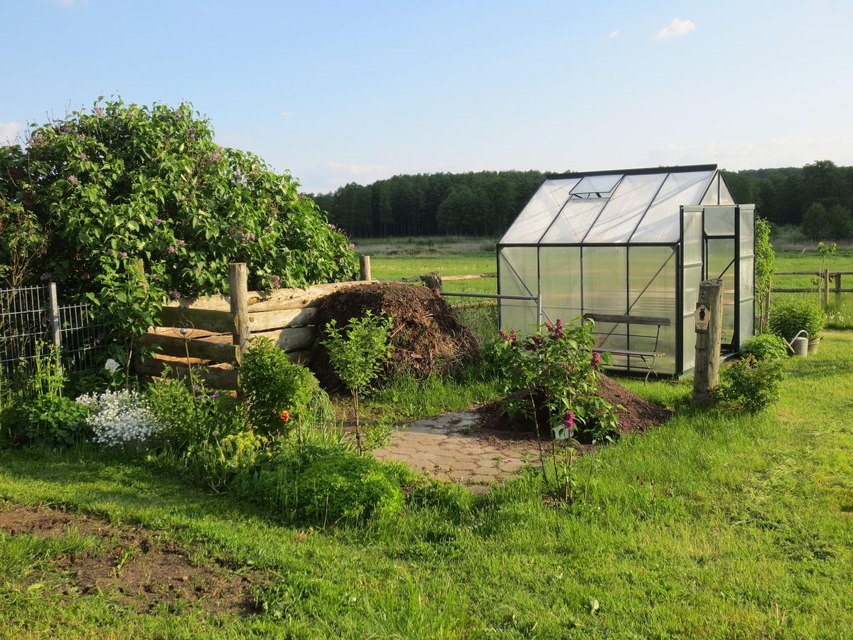 northampton uni experts study into the importance of allotments