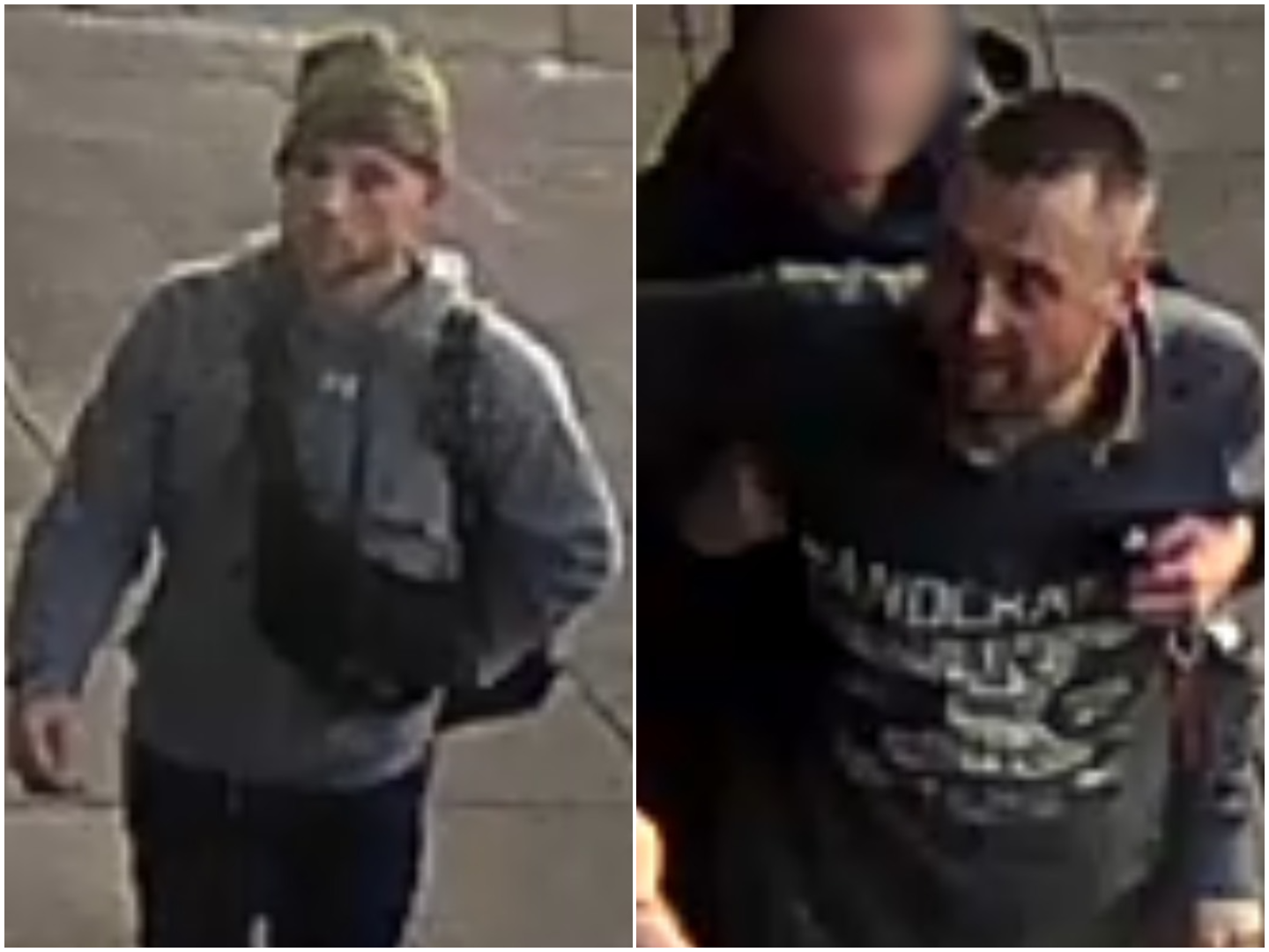 Two men sought following Trowbridge shoplifting and assault