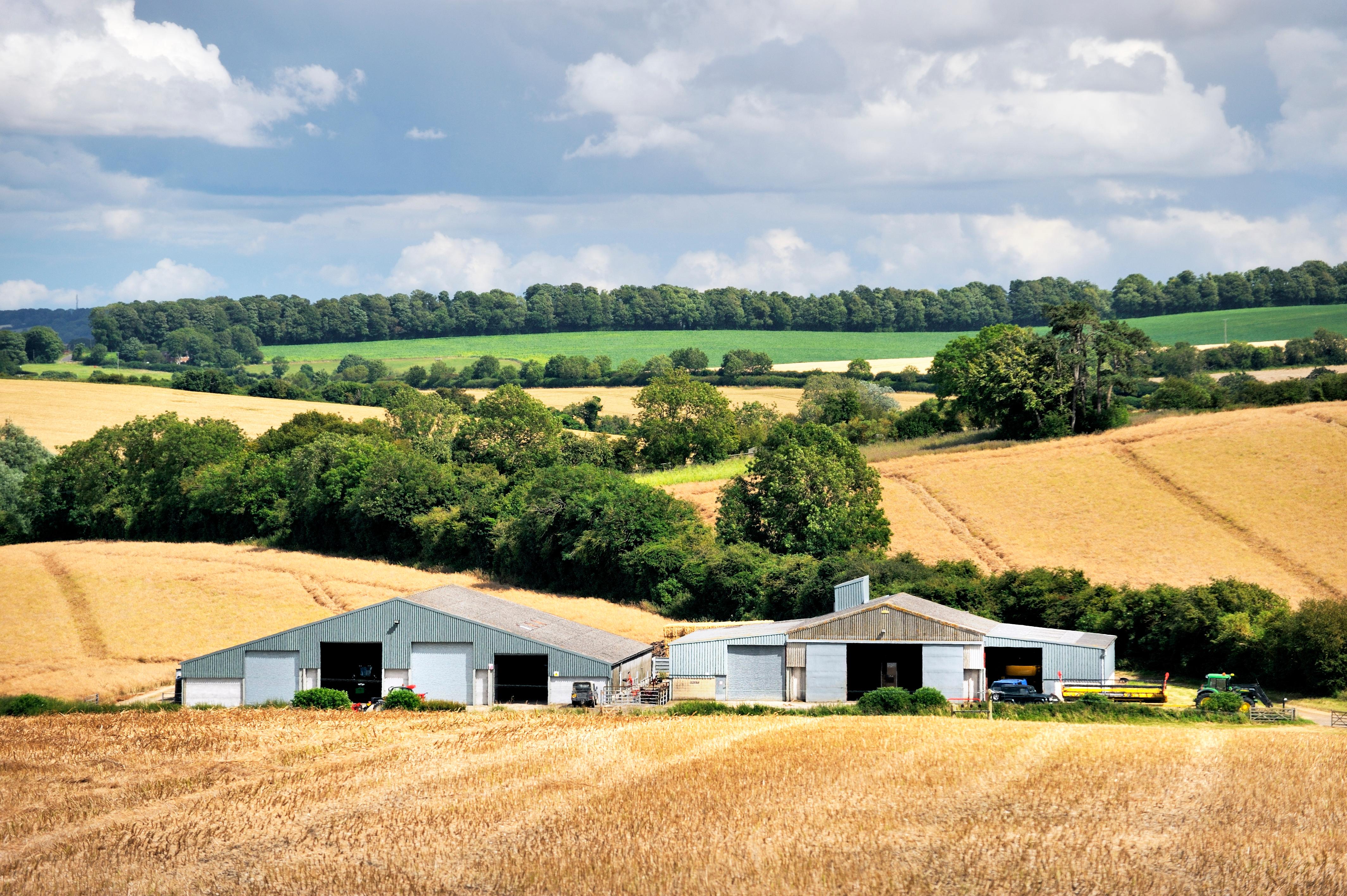 Wiltshire farms risk being undermined by tax changes, says Council Leader