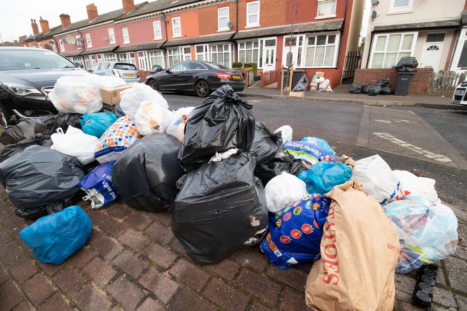 Rats and other rodents posing 'huge' public health risk amid Birmingham bin strikes | News ...